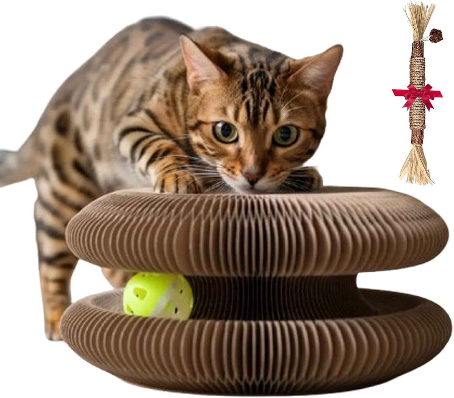 Twisty Paws Cat Toy, Elvessa Cat Toy, Magic Organ Kitty Scratching ...