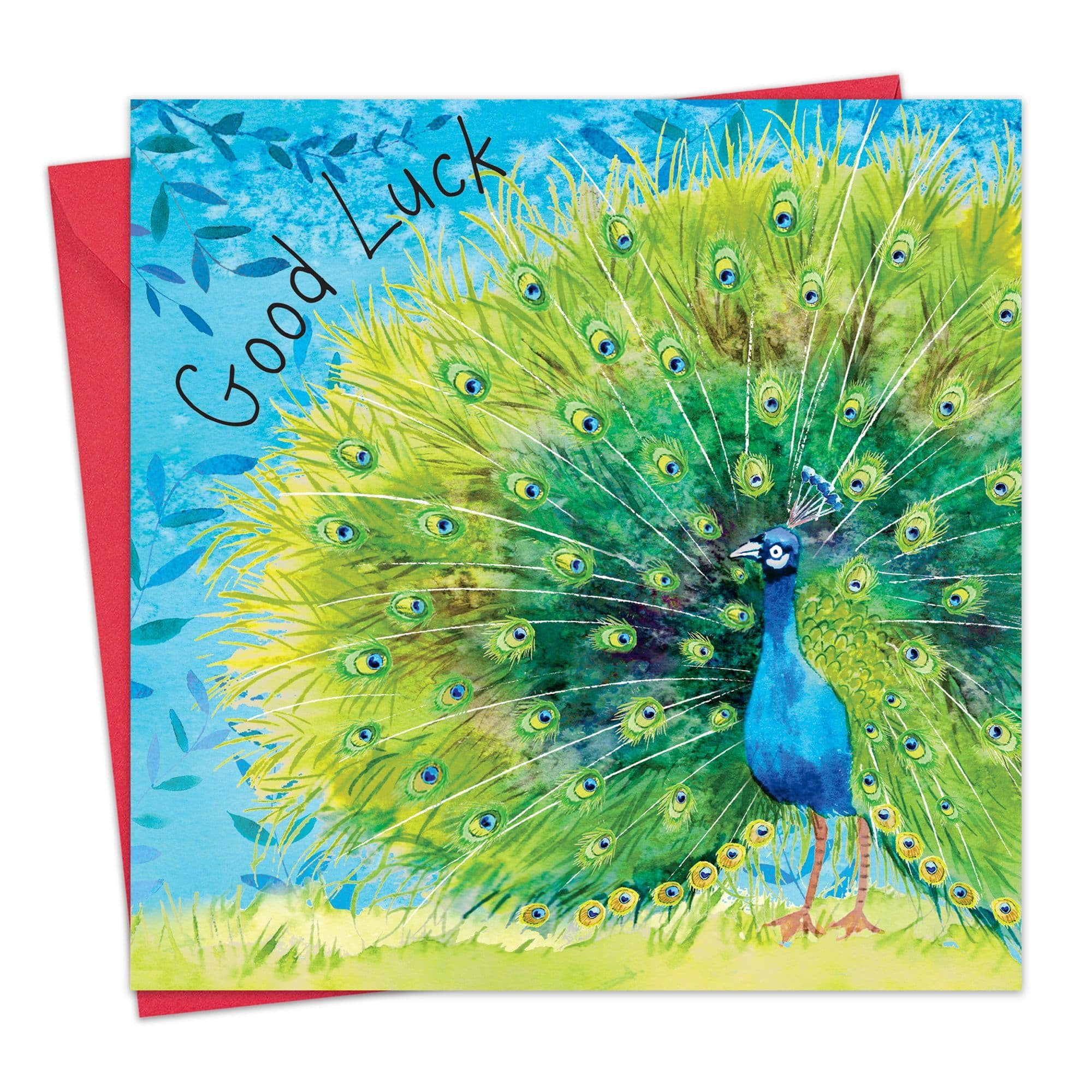 Twizler Good Luck Card with Peacock - Good Luck Greeting Card - Good ...