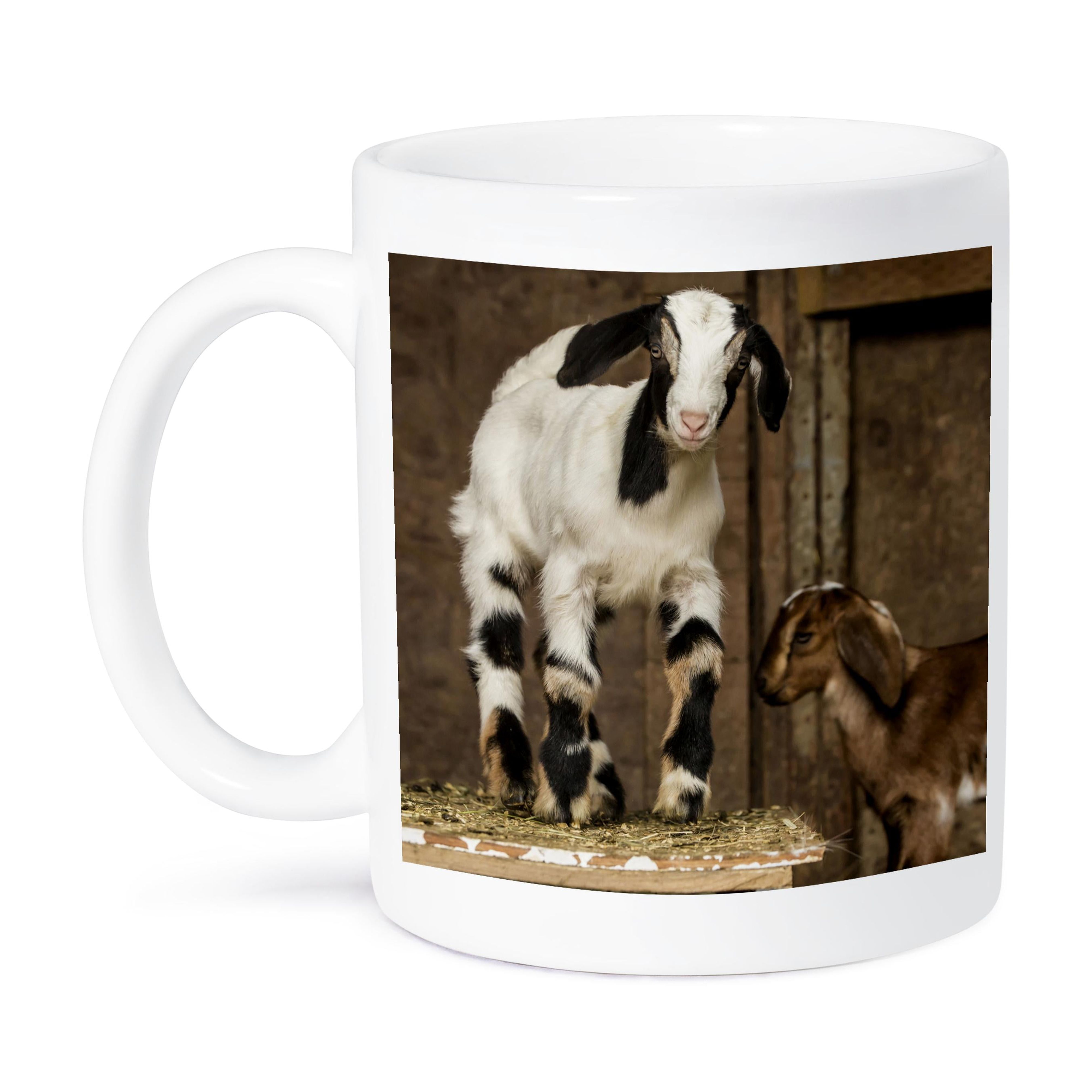 Two 12 Day Old Mixed Breed Nubian And Boer Goat Kids Posing., 15oz Mug ...