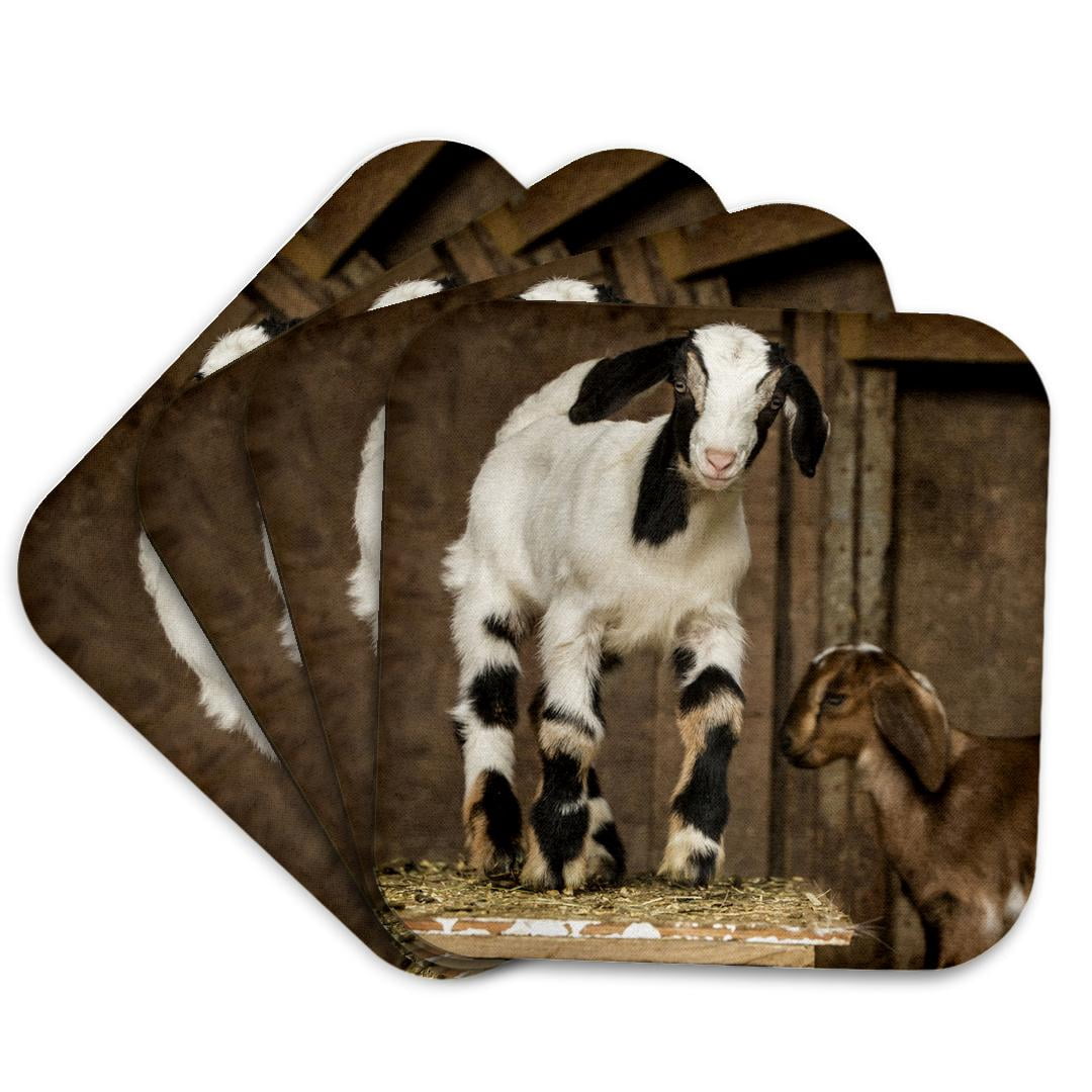3drose, Two 12 Day Old Mixed Breed Nubian and Boer Goat Kids Posing ...