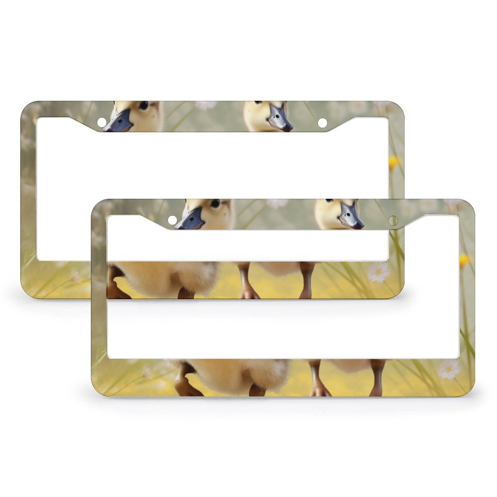 Two Cute Baby Geese Walking on License Plate Frame 2 Pack Canadian ...