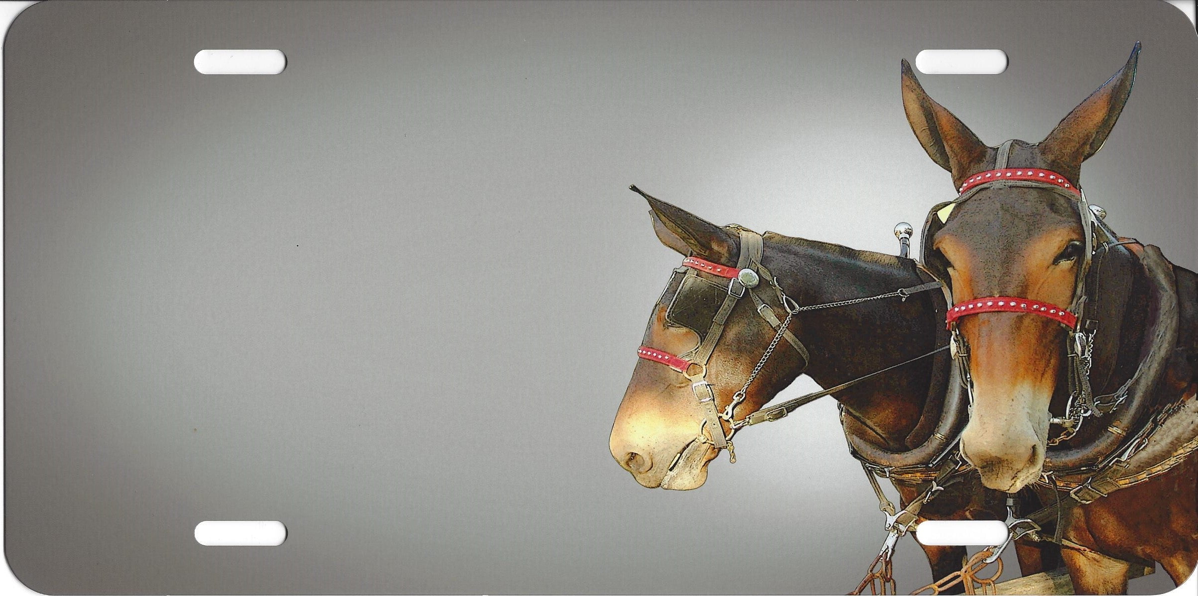 Two Donkeys Airbrush License Plate Free Names on this Air Brush ...