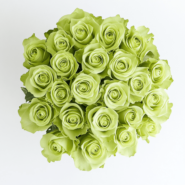 Beautiful Green Roses