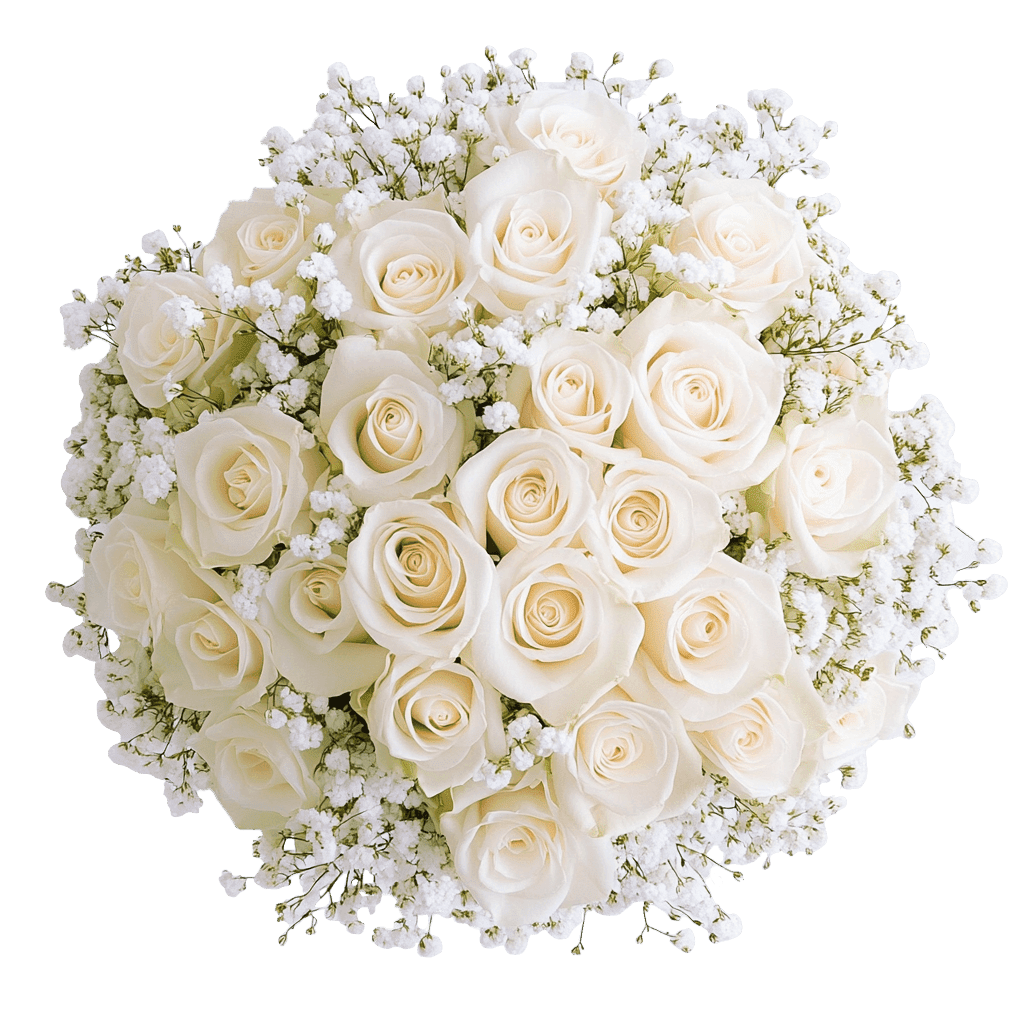 Two Dozen Ivory Roses with Baby's breath and Green- Fresh Flower ...