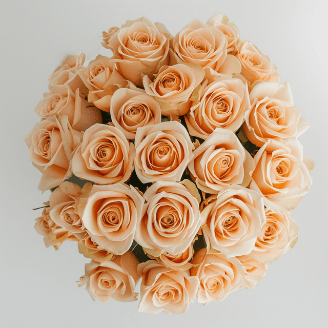 Two Dozen Peach Roses- Beautiful Fresh Cut Flowers- Express Delivery ...