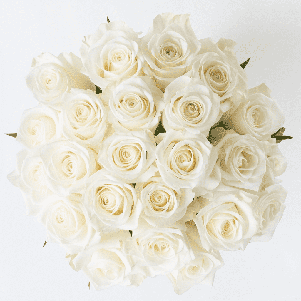 Two Dozen White Roses- Beautiful Fresh Cut Flowers- Express Delivery ...