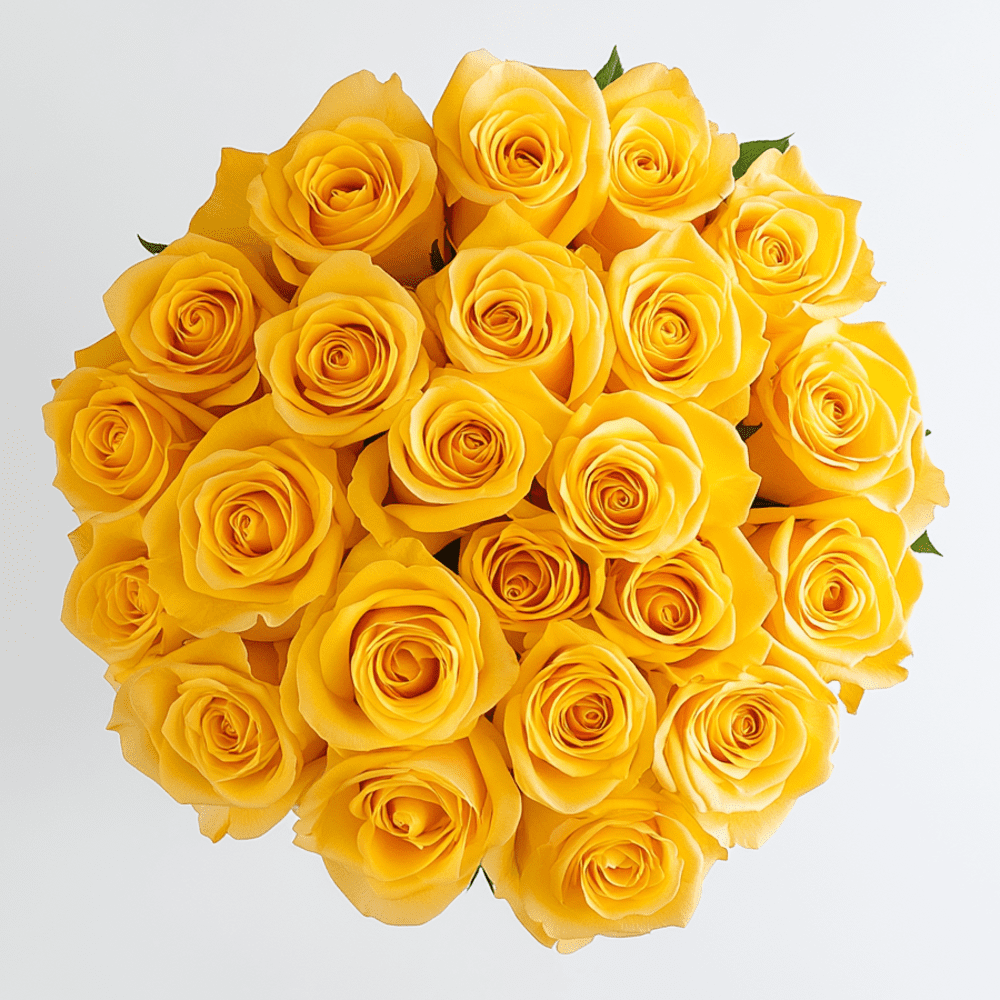 Two Dozen Yellow Roses- Beautiful Fresh Cut Flowers- Express Delivery ...