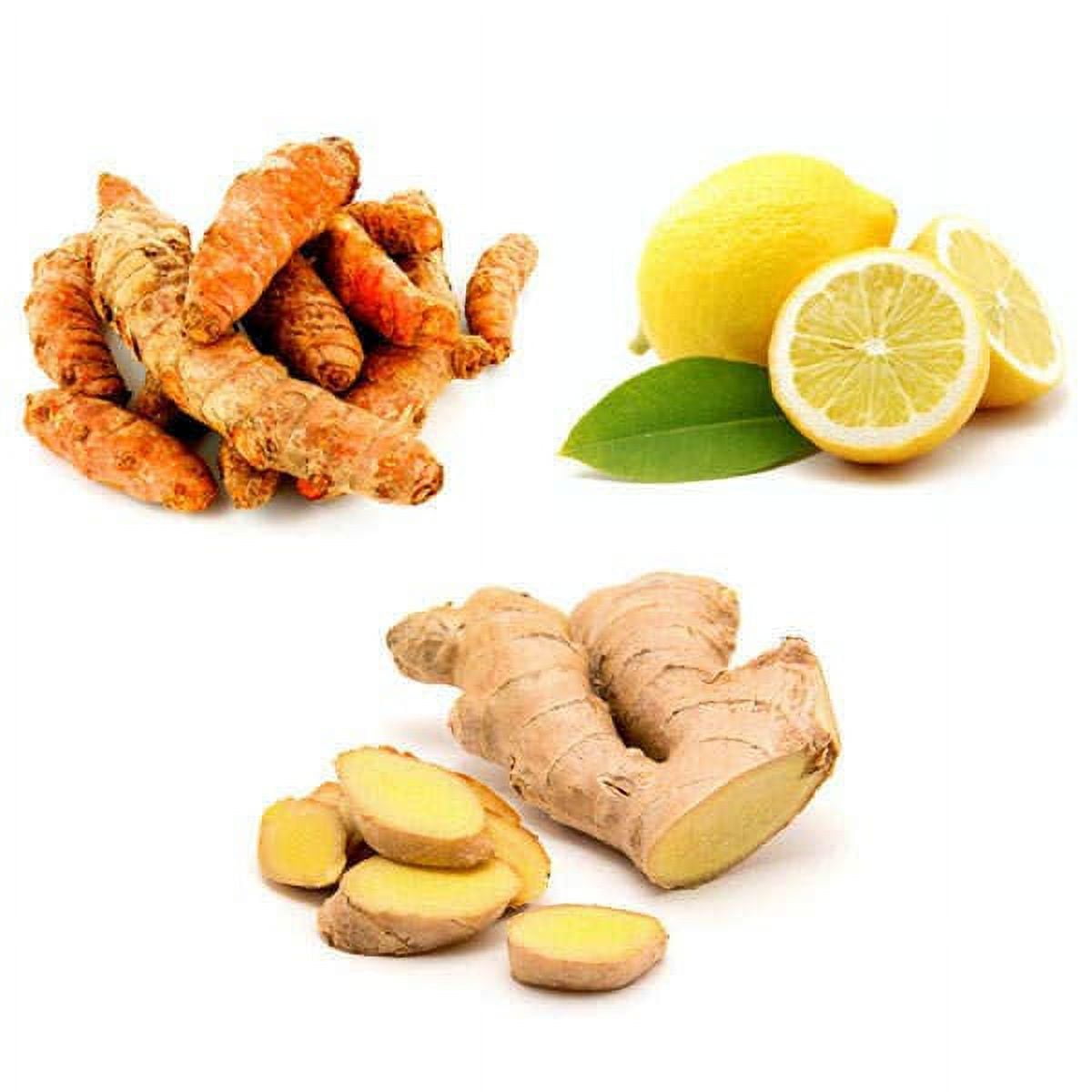 Greenhouse PCA Edible Rhizome Bundle, 3 Peruvian Ginger, 6 Turmeric ...