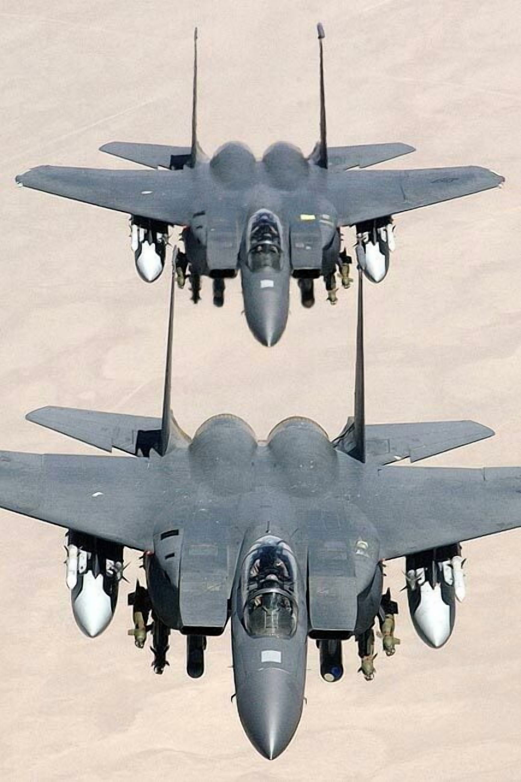 Two F-15 / F-15E Strike Eagle Fighter Aircraft Style - A - 20x30 Inch ...