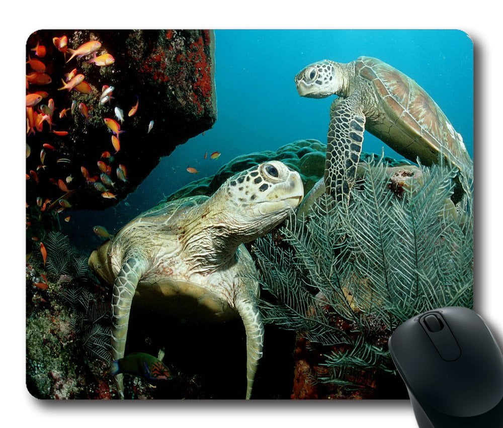 Two Green Sea Turtle Mouse pads Gaming Mouse Pad 9.84x7.87 inches ...