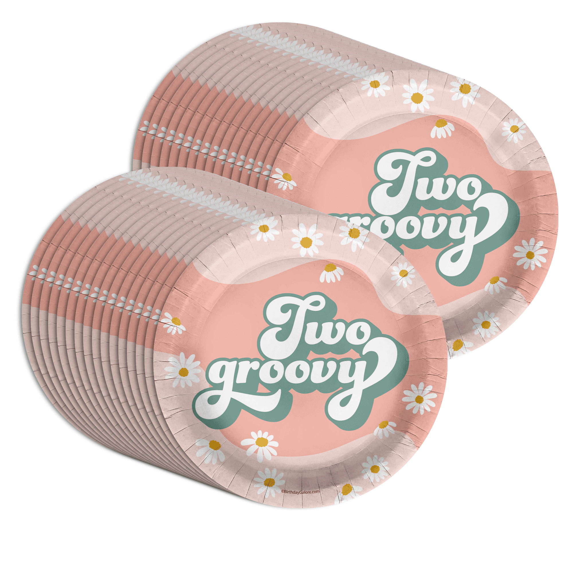 Two Groovy Birthday Party Supplies 2nd Birthday Party Plates - Large 9 ...