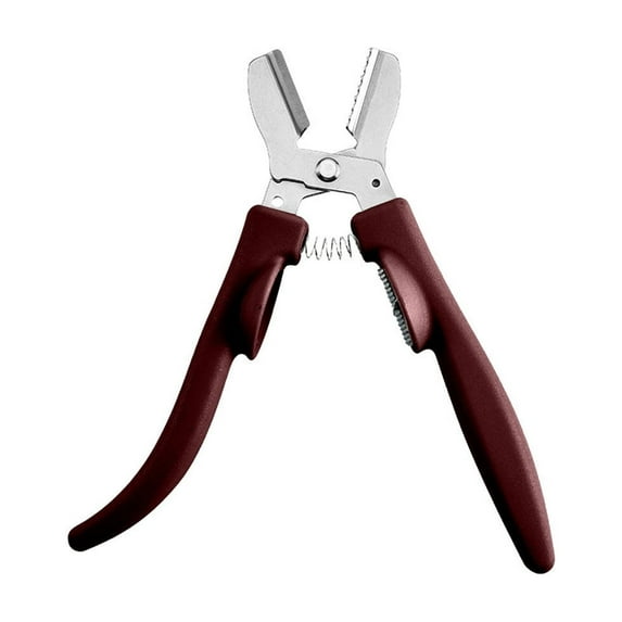 Two-In-One Chestnut Opener, Stainless Steel Nut Peeler Tool, Ergonomic ...