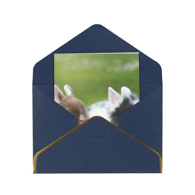 Two Little Cute Rabbits Birthday Cards Blank Cards Greeting Card With ...