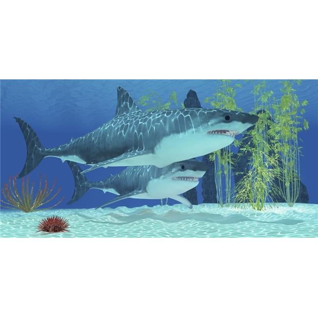 Two Megalodon sharks from the Cenozoic Era Poster Print - Walmart.com