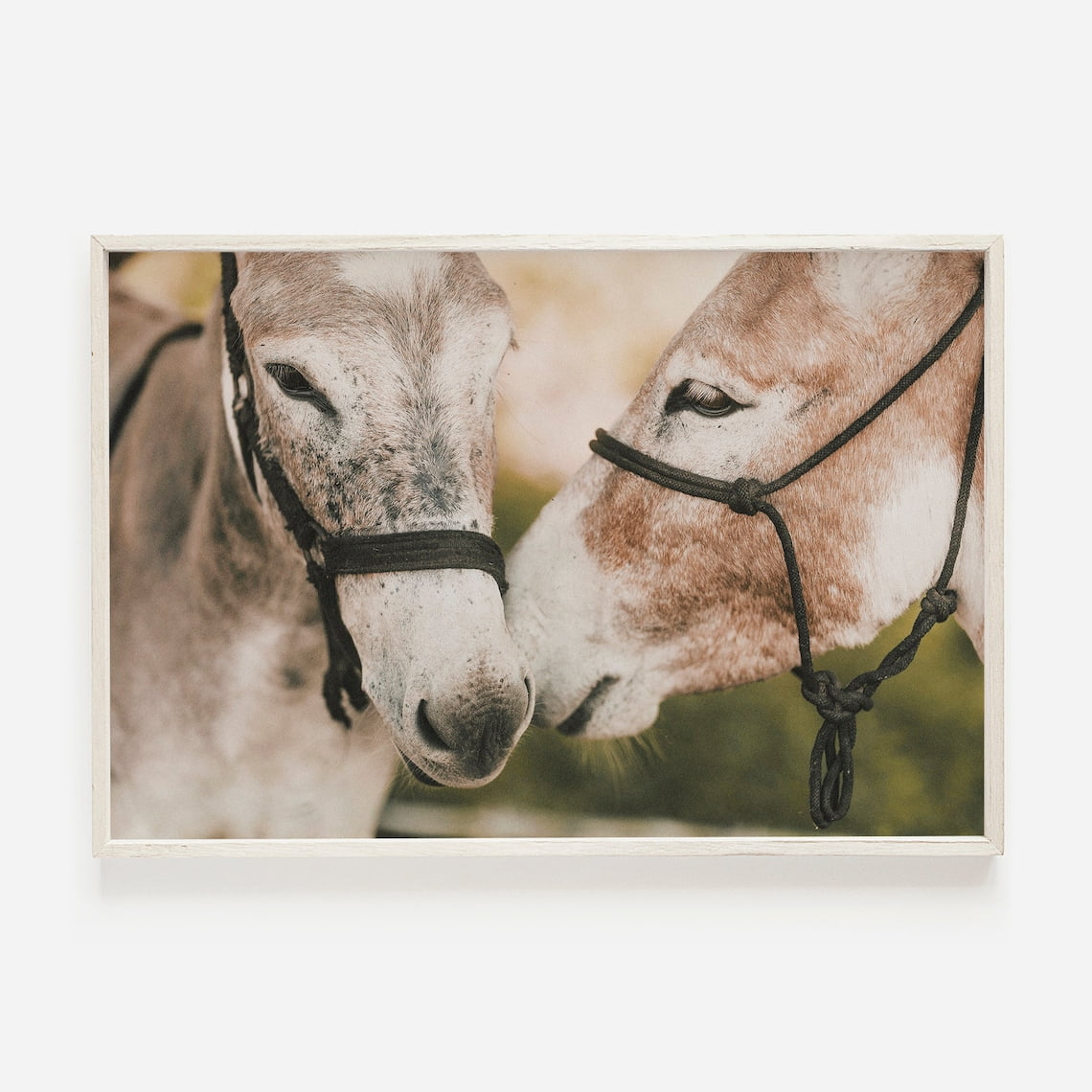 Two Mexican Burros Wall Art, Caballo Poster, Mexico Equestrian Art ...