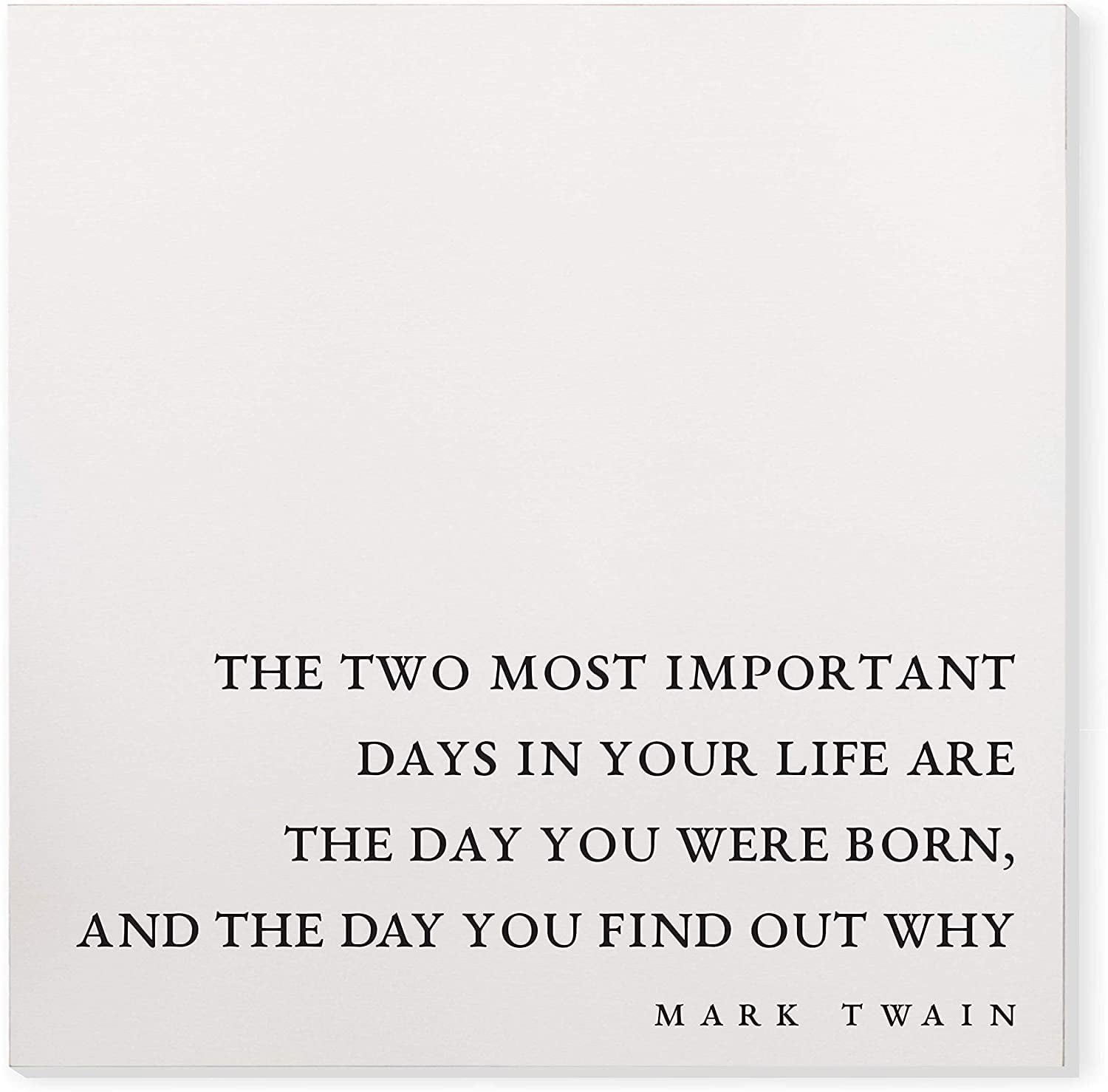 Two Most Important Days Wood Sign 16x16 - Walmart.com
