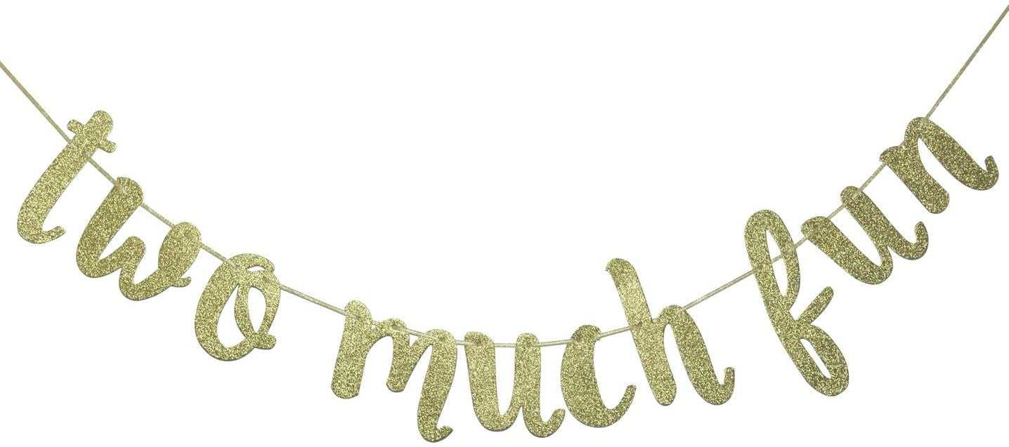 Two Much Fun Banner, 2nd Birthday Garland Sign Party Decorations ...