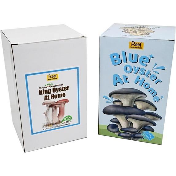Two Mushroom Grow Kits, 3Lb Each (King Oyster & Blue Oyster) - Walmart.com