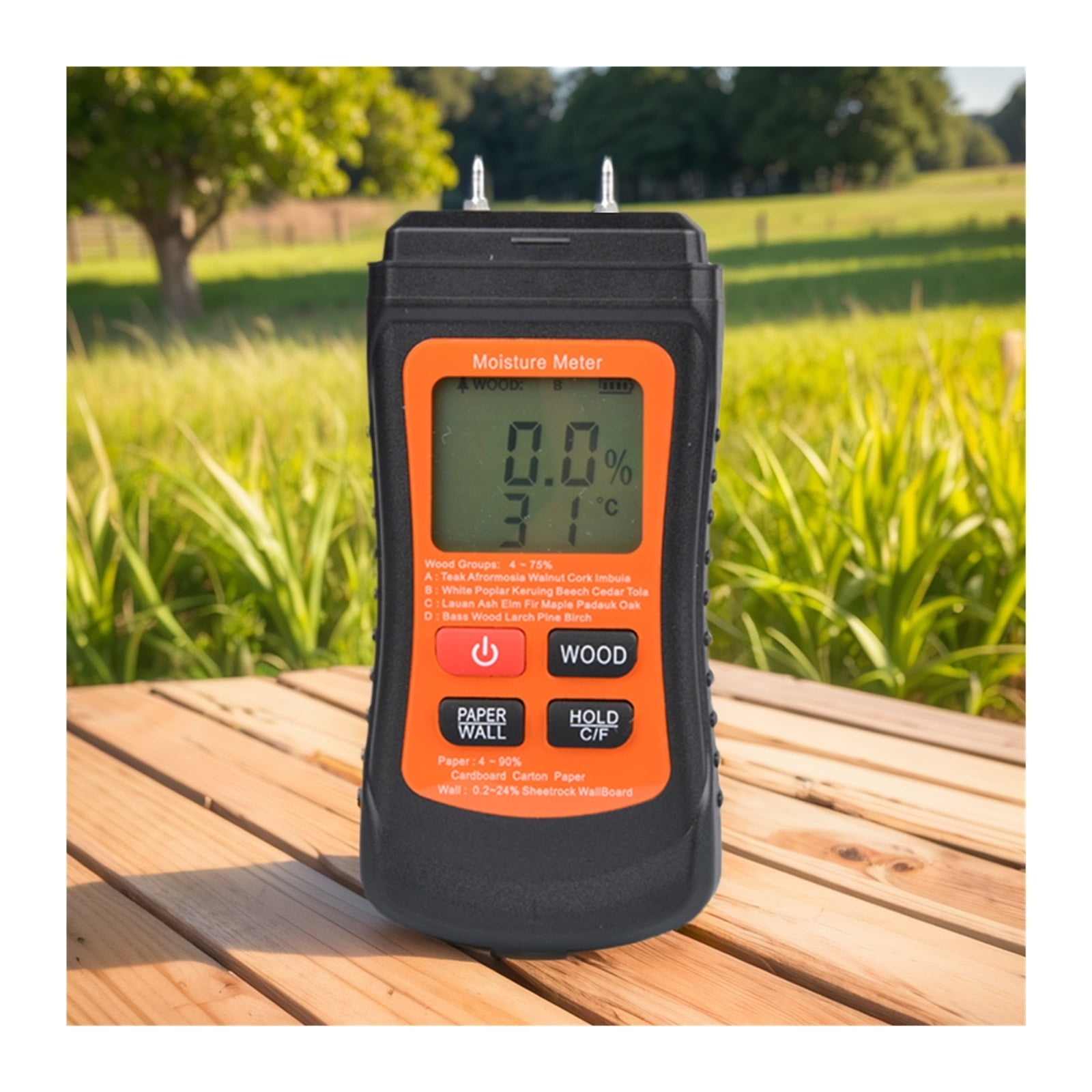 Two Pins Wall Hygrometer with Temperature Display Digital Timber Damp ...