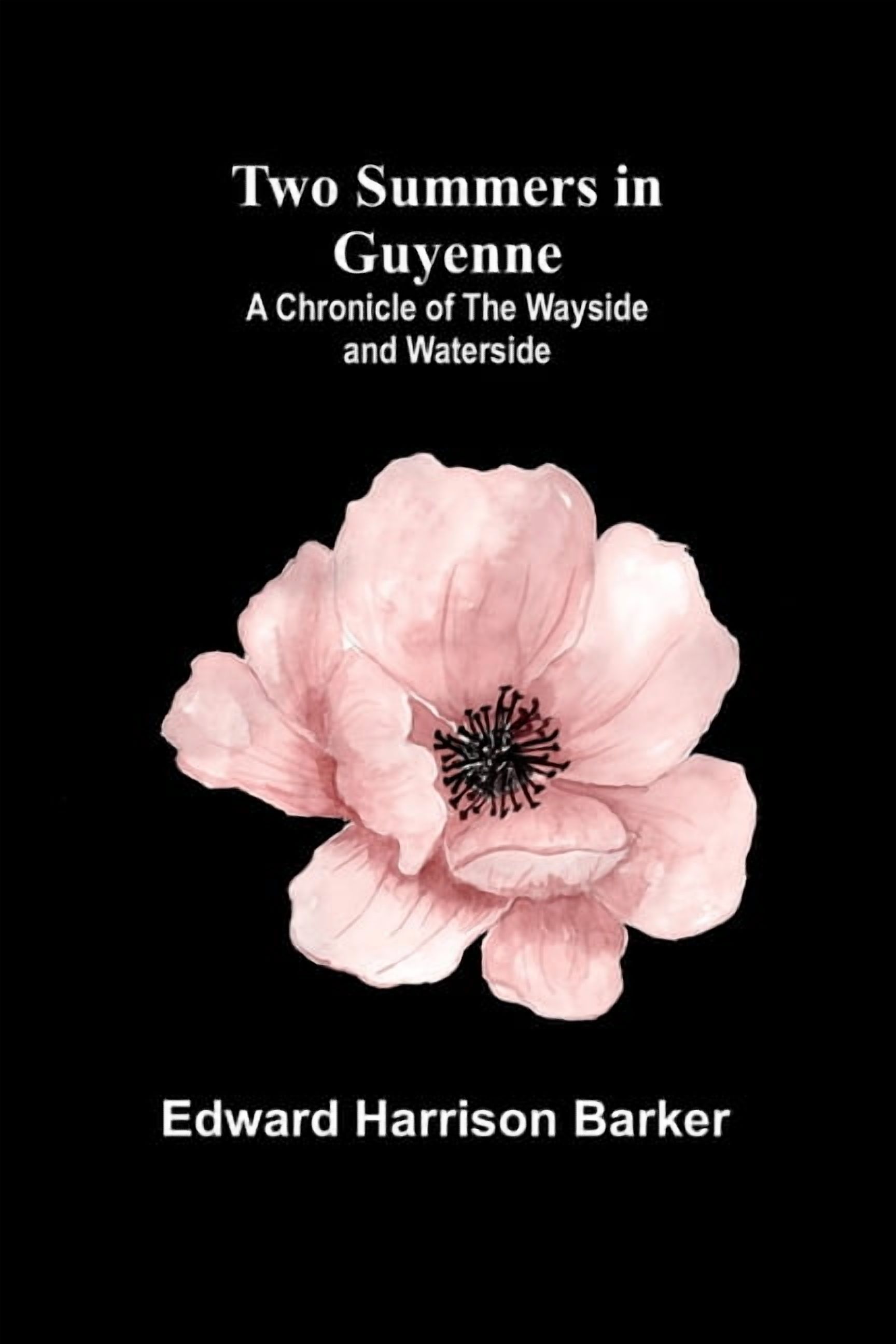 Two Summers in Guyenne: A Chronicle of the Wayside and Waterside ...