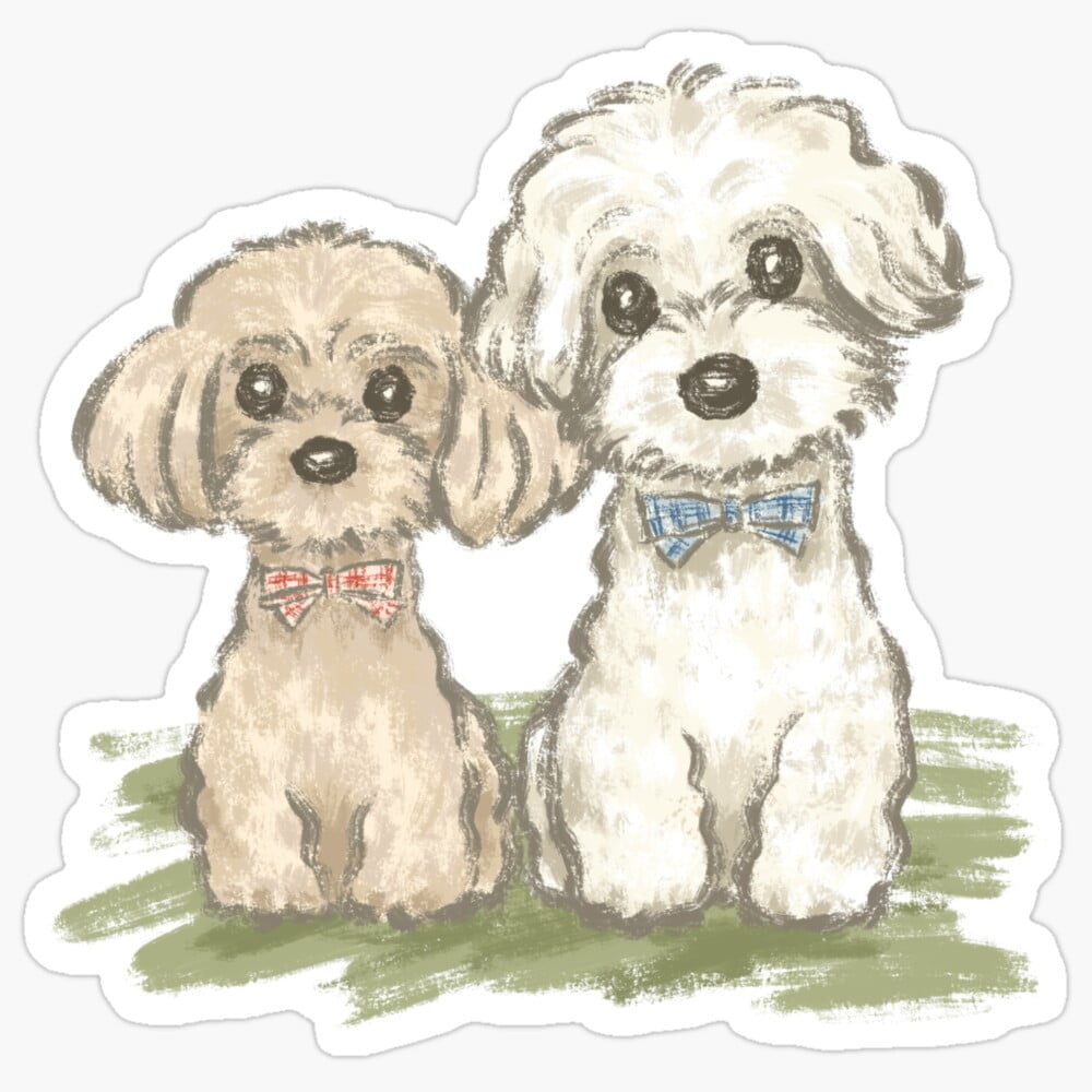 Two Toy Poodles Sticker Phone Decal Water Bottle Stickers Car Decals ...