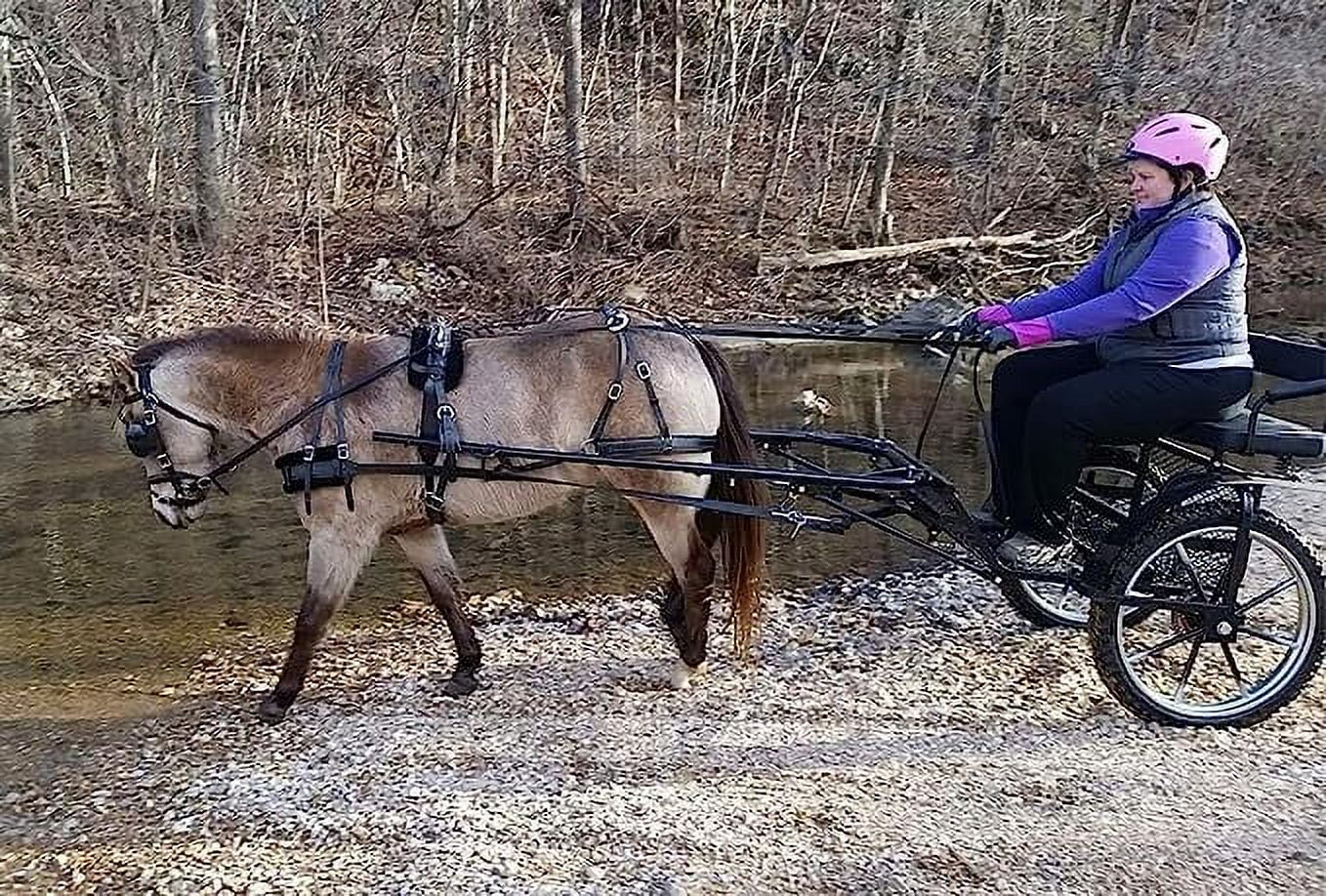 Two Wheel Horse Drawn Carriages for Small Ponies, Shetlands and ...