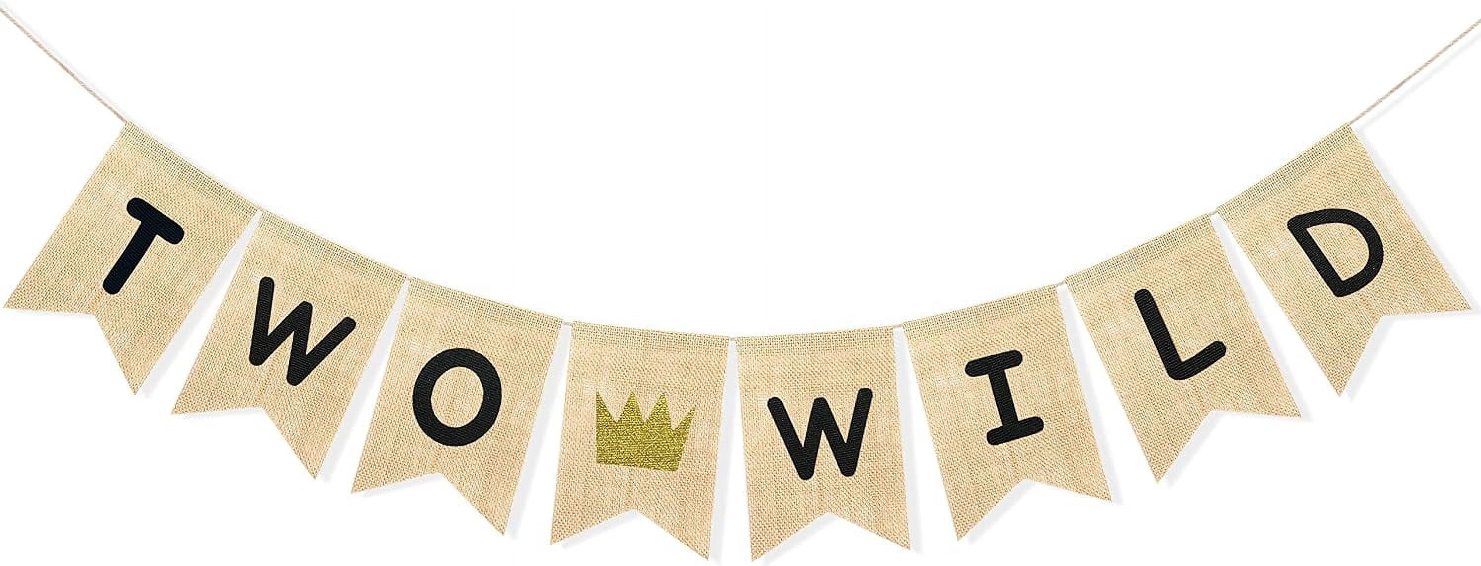 Two Wild Banner Baby Boy Girl 2nd Birthday Party Decorations Garland ...