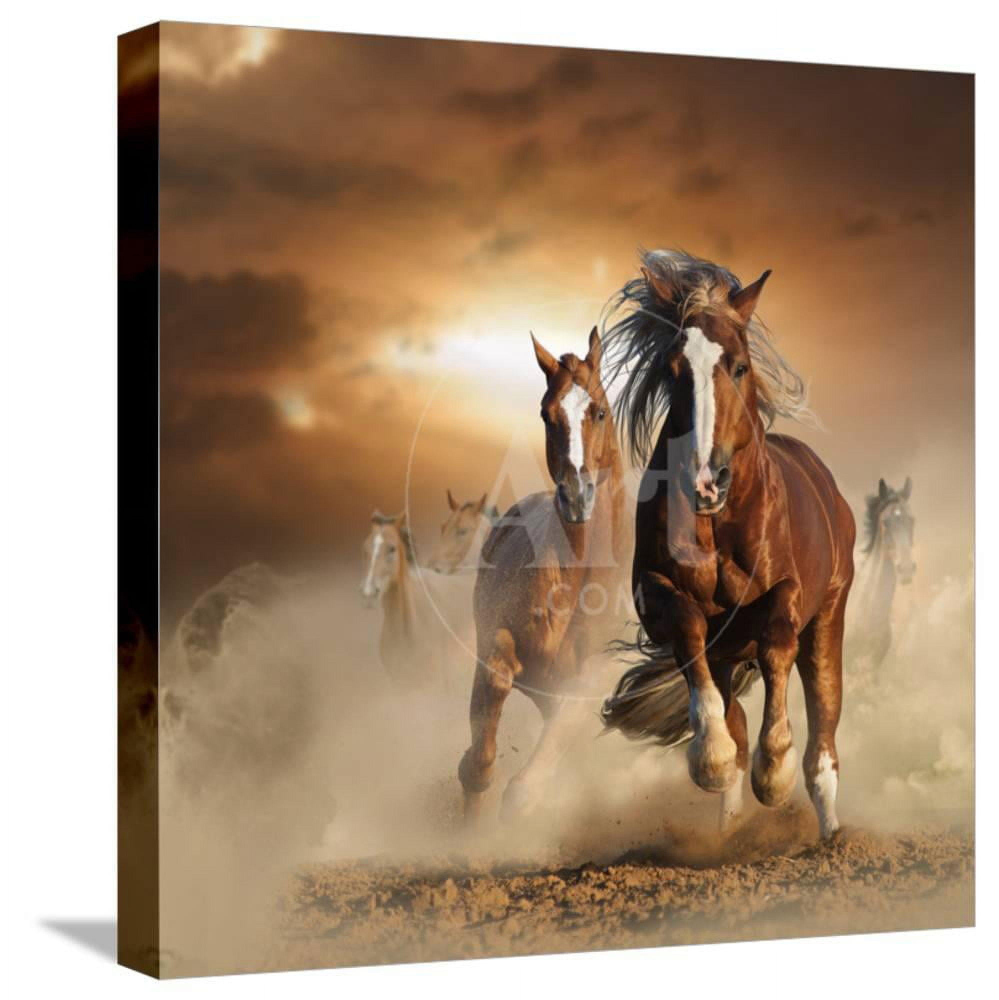 Two Wild Chestnut Horses Running Together in Dust, Front View, Animals ...