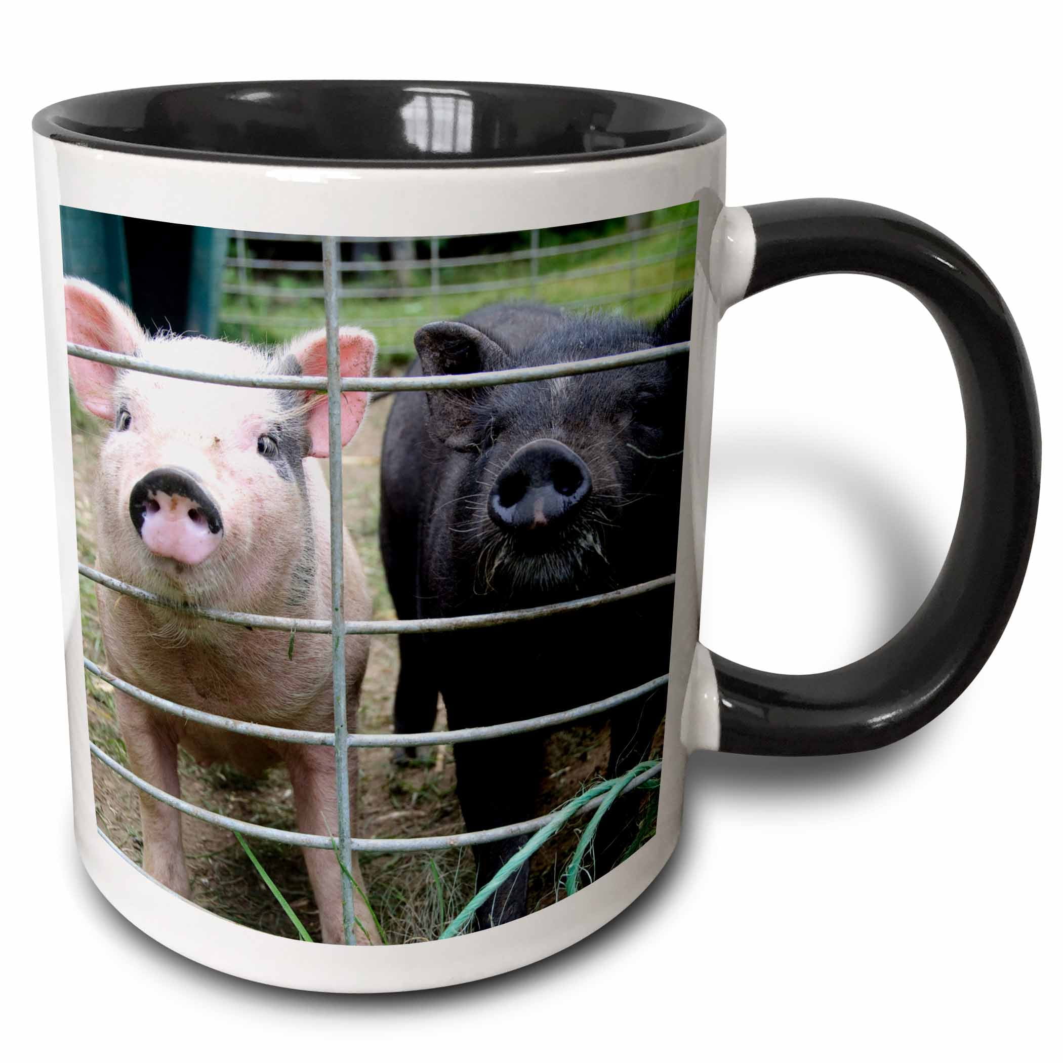 Two cute pigs Sus domesticus behind fence. 11oz Two-Tone Black Mug mug ...