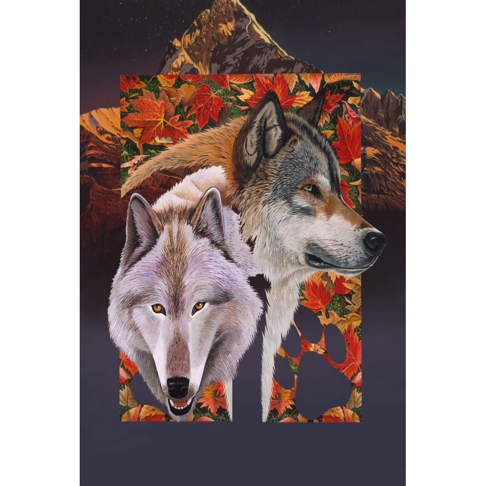 Two wolves Poster Print by Graeme Stevenson (24 x 36) - Walmart.com