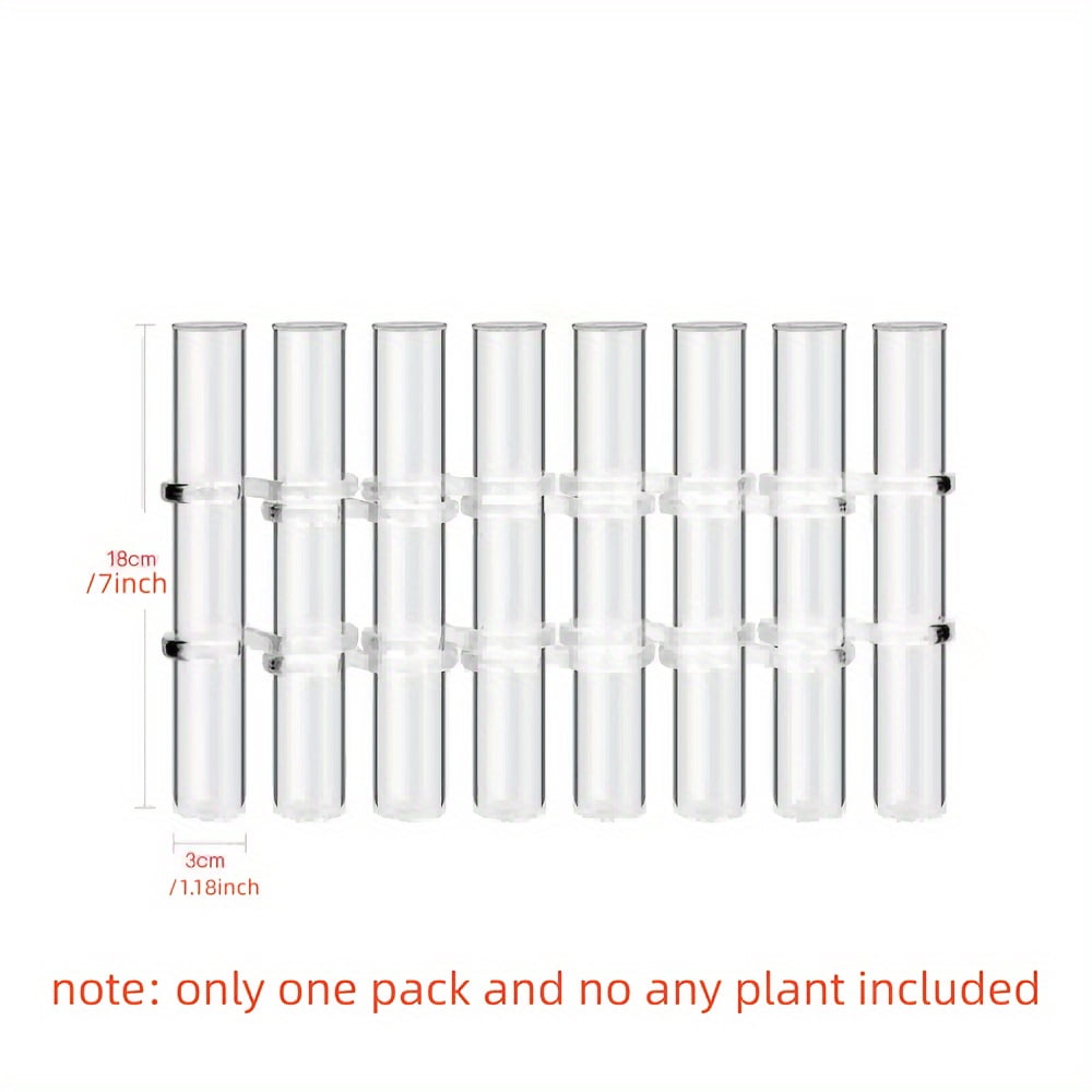 TwoLLL 1 Pack - Clear Transparent Test Tube Vases - Stylish Home Decor ...