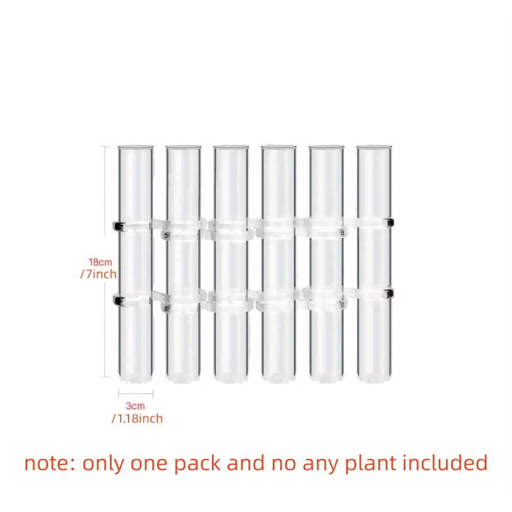 TwoLLL 1 Pack - Clear Transparent Test Tube Vases - Stylish Home Decor ...