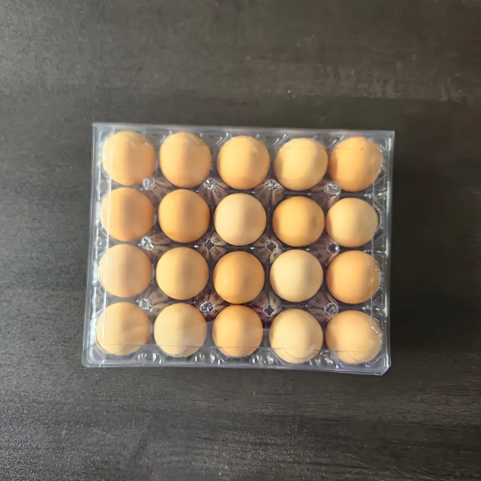 TwoLLL 10Pcs Transparent Egg Packaging Box Multi-Specification Egg And ...