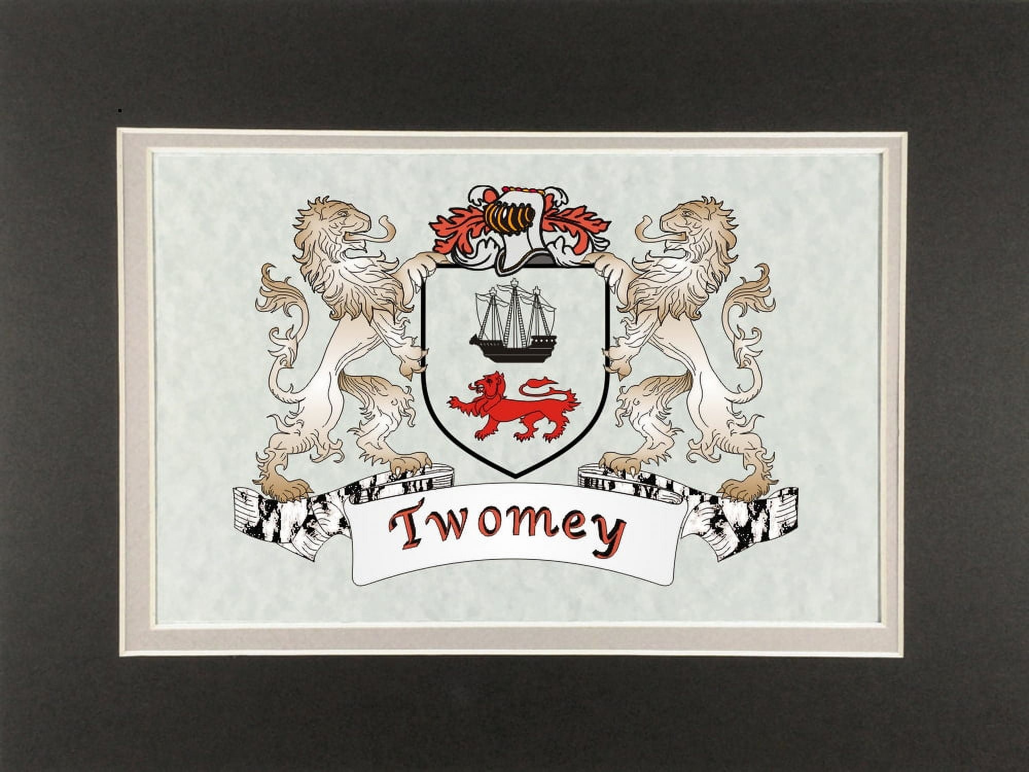 Twomey Irish Coat of Arms Print - Frameable 9" x 12" - Walmart.com