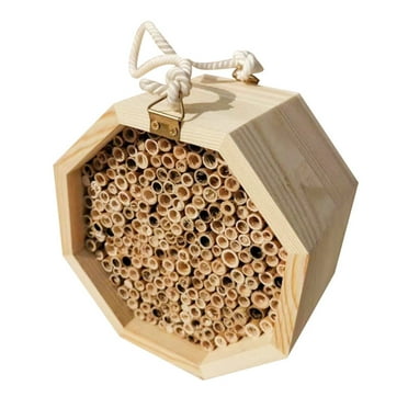 Wooden Bee House, Quality Natural Wood, Nest Outdoors Build Habitat Box ...