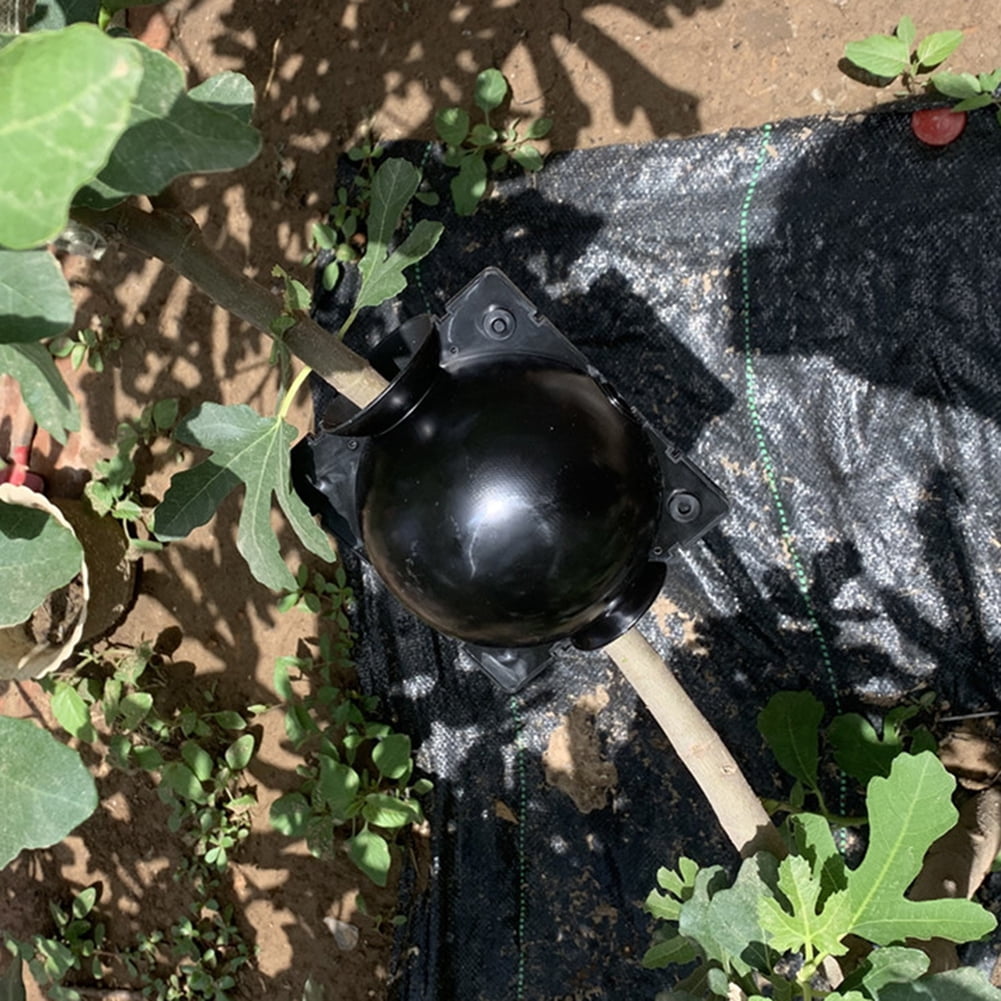 Twowood Plant Rooting Ball Growing Box Grafting Root Breeding Case ...