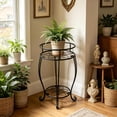 Txlpkdyx Two-Tier Wrought Iron Plants Stand And Floor-Standing Display ...