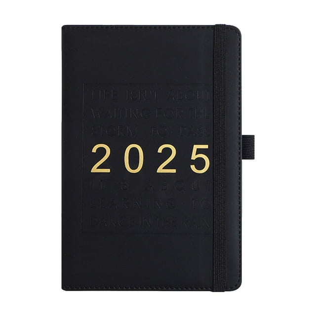 Txmfgh 2025 Daily Planner - Hourly & 15-Minute Increment Schedule, Full ...