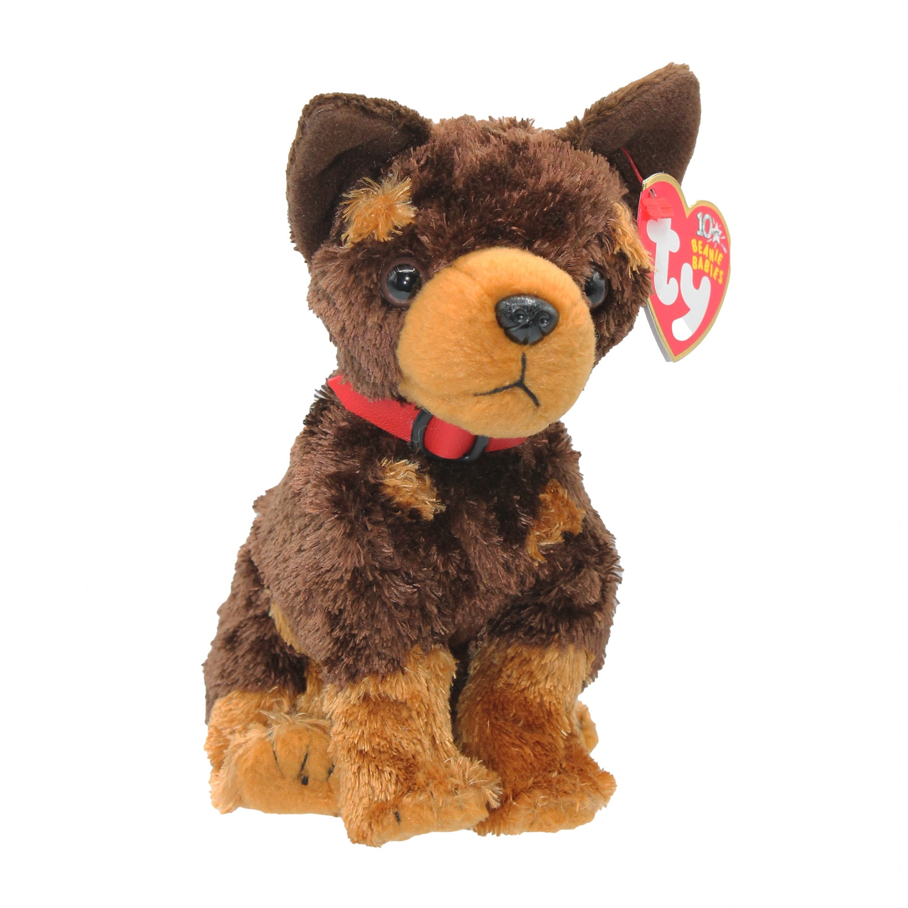 Ty Beanie Baby: Amigo the Dog - Ty Store Exclusive | Stuffed Animal ...