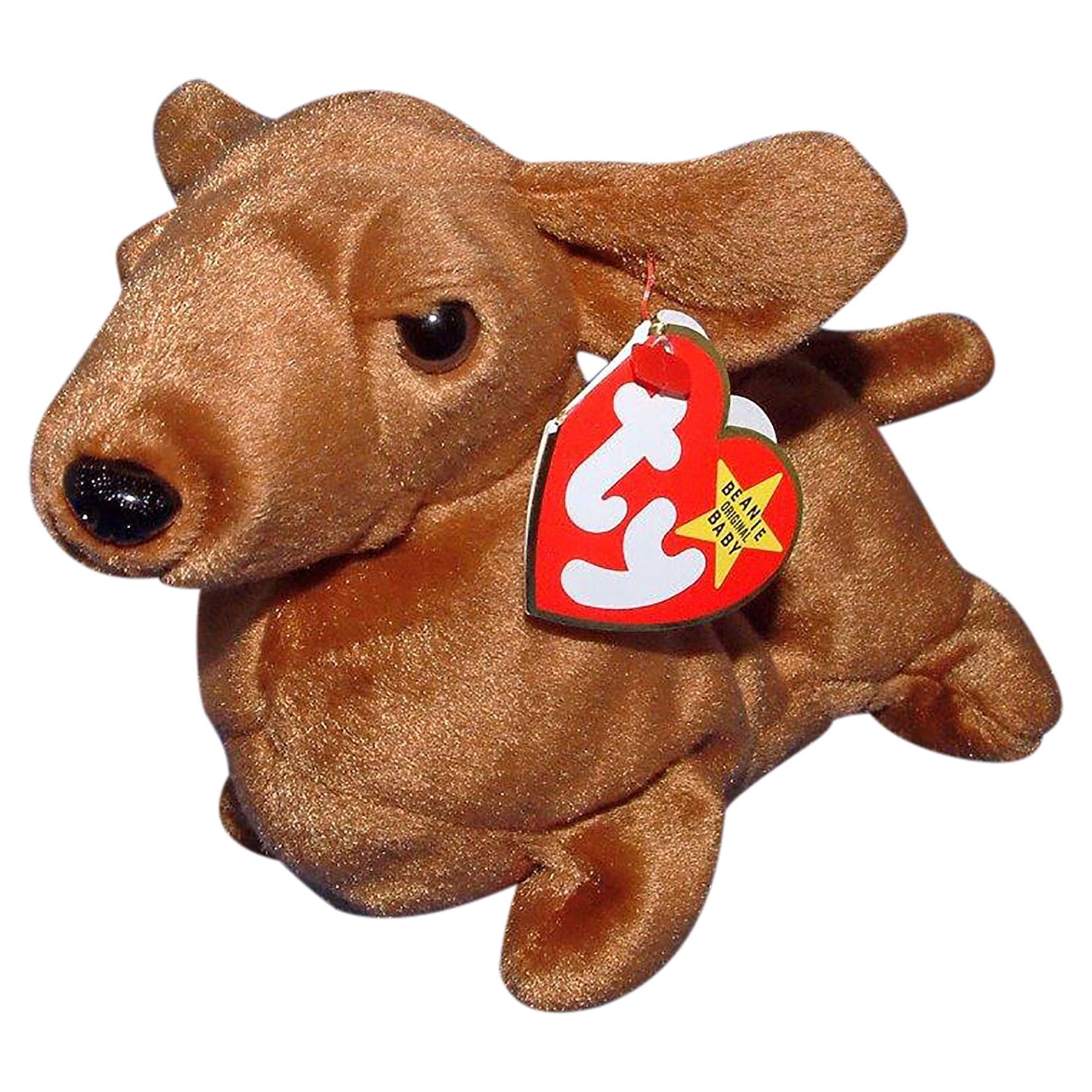 Ty Beanie Baby - WEENIE the Dachshund Dog (7.5" Plush) (BONUS ONE ...