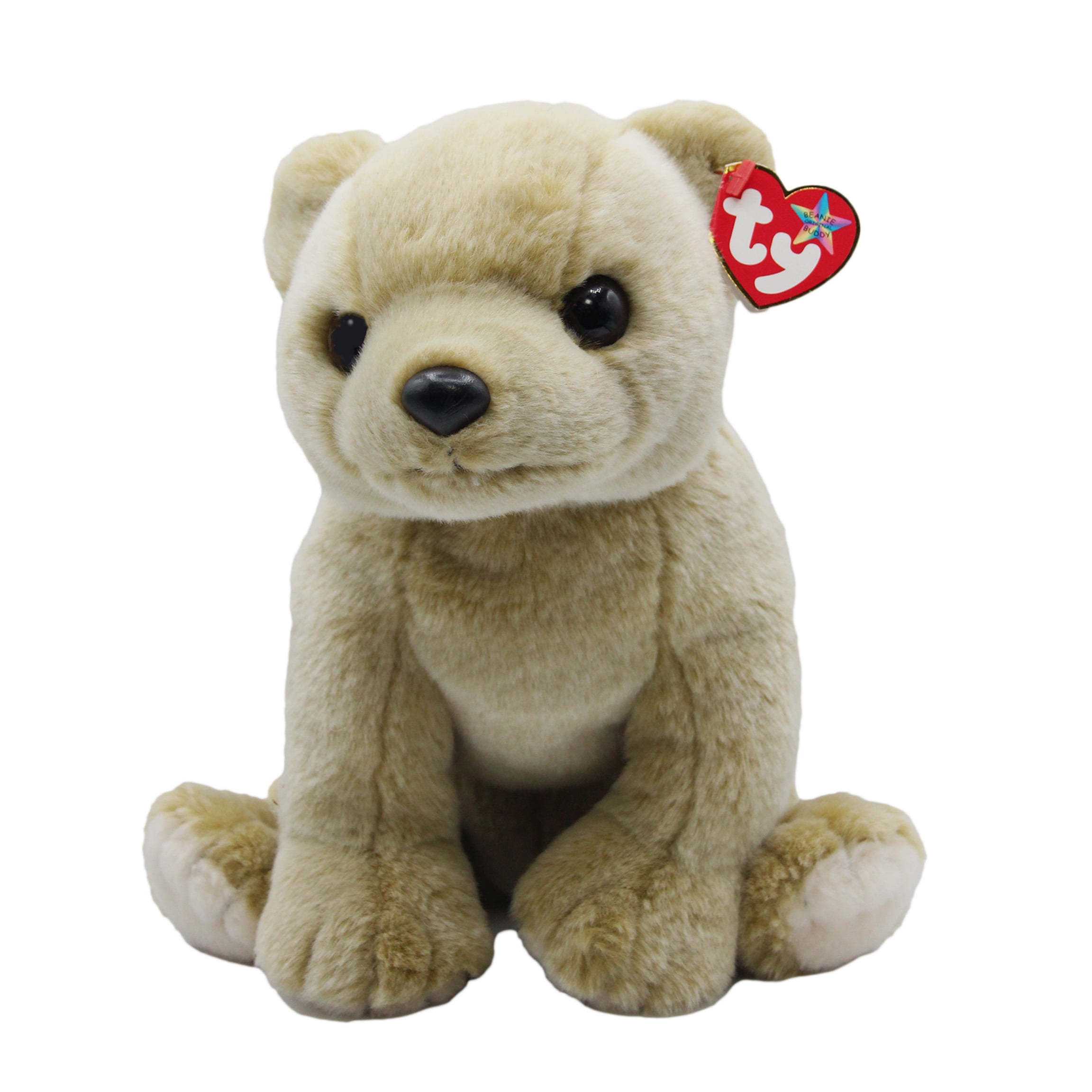 Ty Buddy: Almond the Bear | Stuffed Animal | MWMT's - Walmart.com
