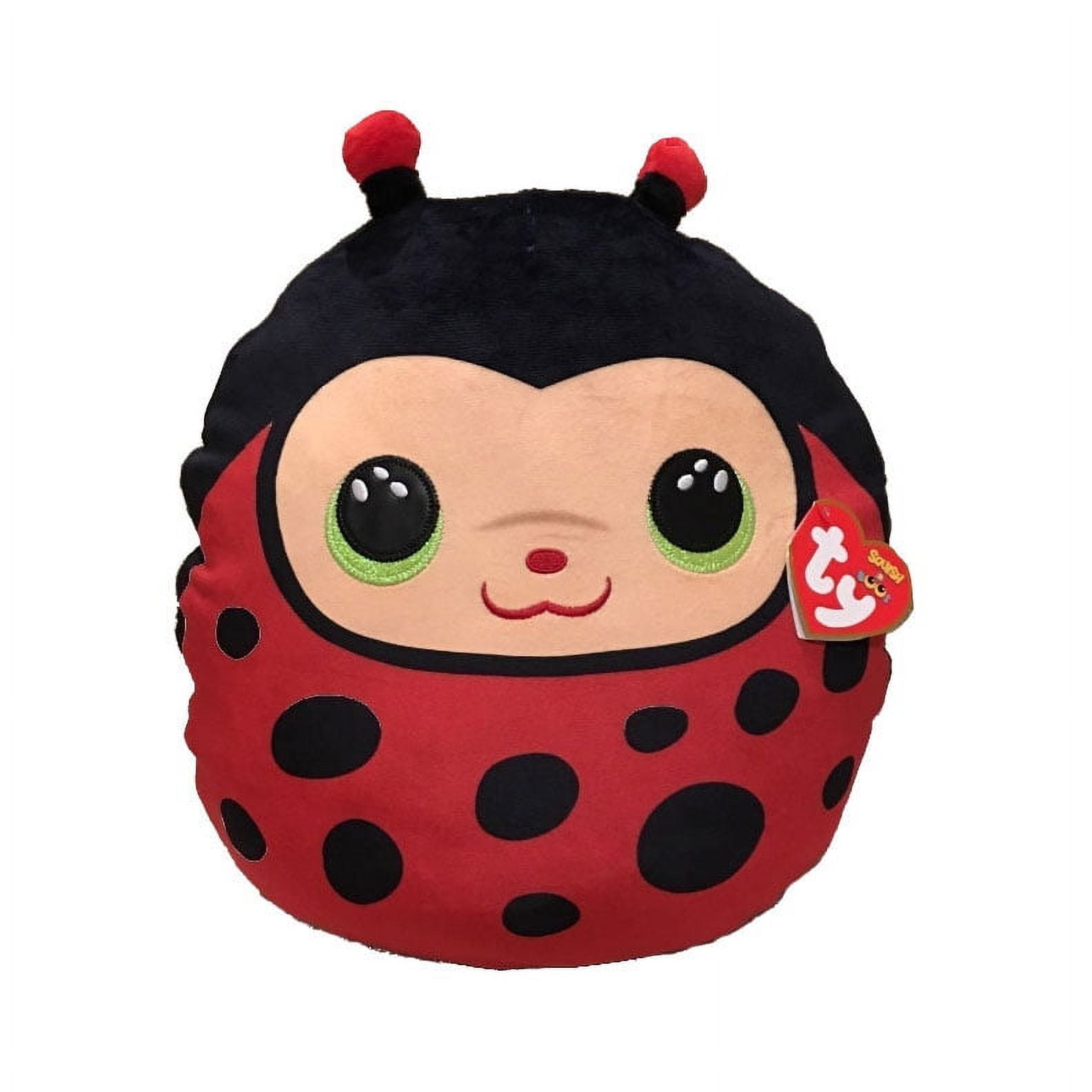 TY Cute Ladybug Squish-A-Boos Plush - IZZY (Small Size - 10 inch ...