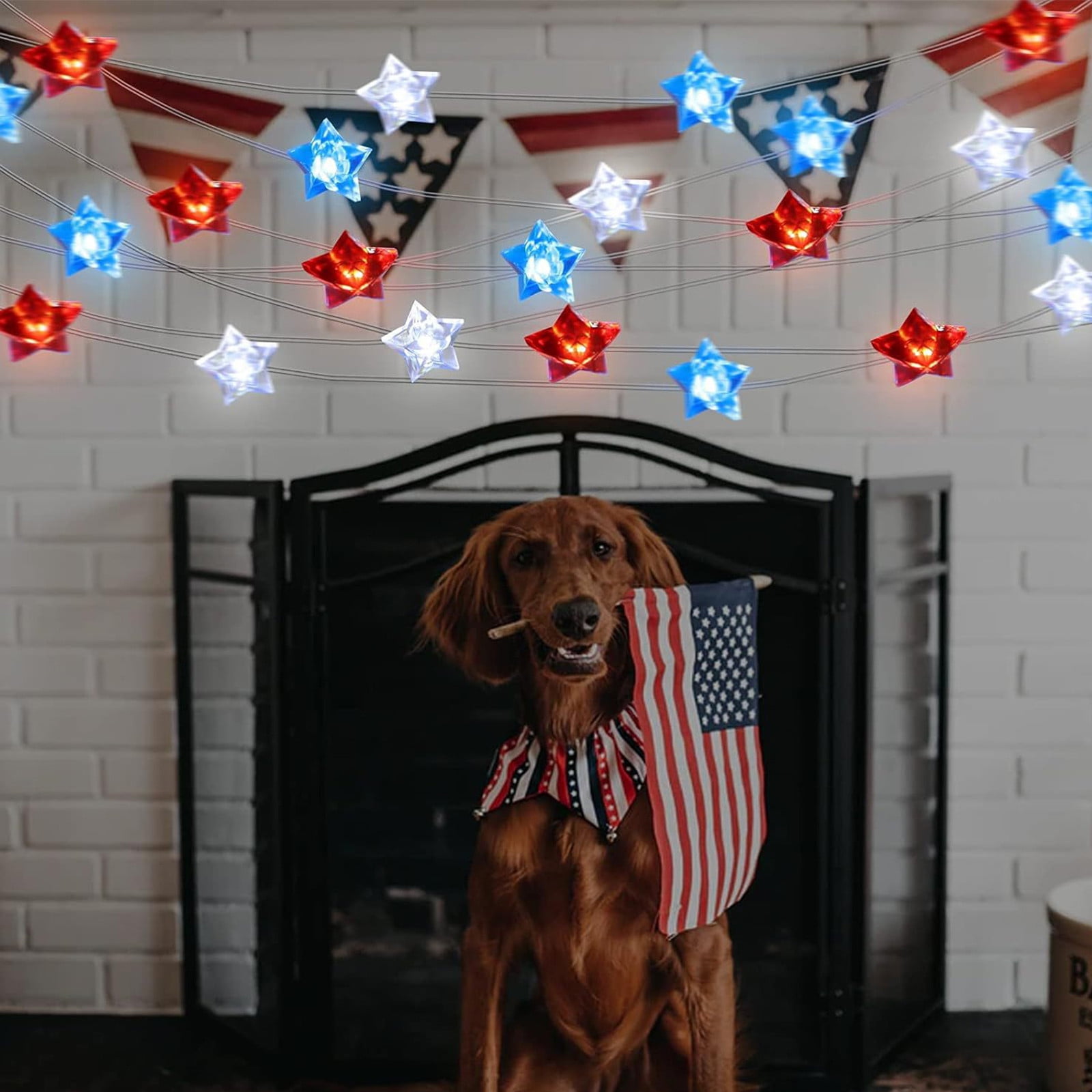 Tyidzon 20 LED 4th of July Decorations American Star Lights, 6.5Ft Mini ...