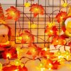 Niyattn Thanksgiving String Lights, Waterproof Pumpkin & Maple Leaf ...