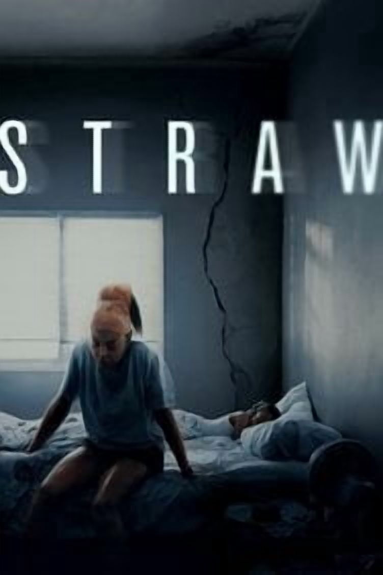 Tyler Perry’s Straw (2025) Drama English Audio New Movie DVD Box Set ...
