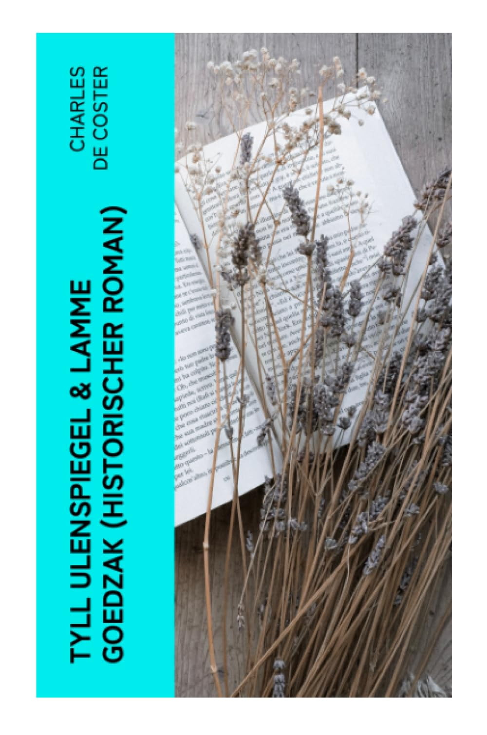 Tyll Ulenspiegel & Lamme Goedzak (Historischer Roman): Legend Charles ...