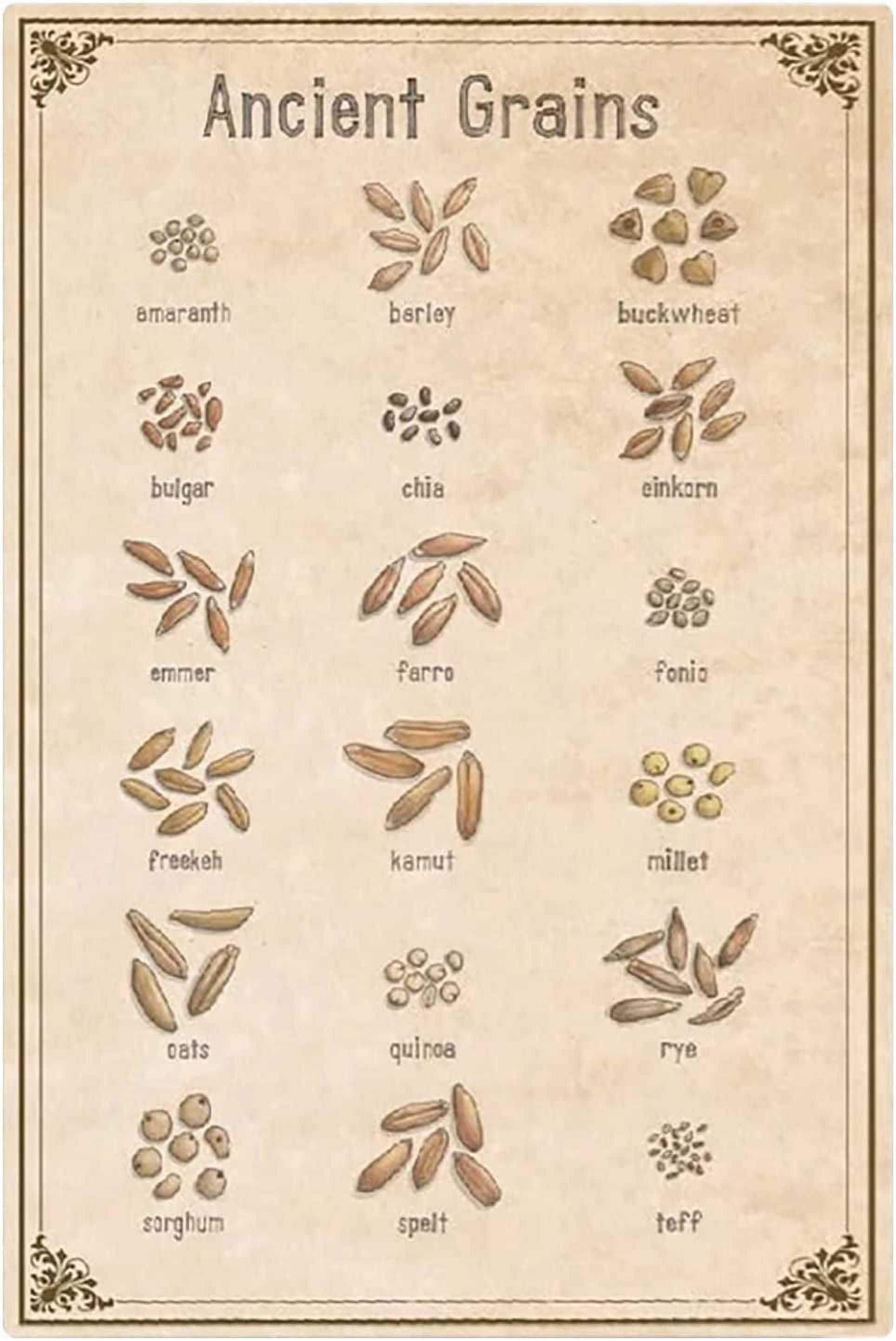 Types Of Ancient Grains Metal Signs Wall Decor Farmer Knowledge Farmhouse Plaque Decoration ...