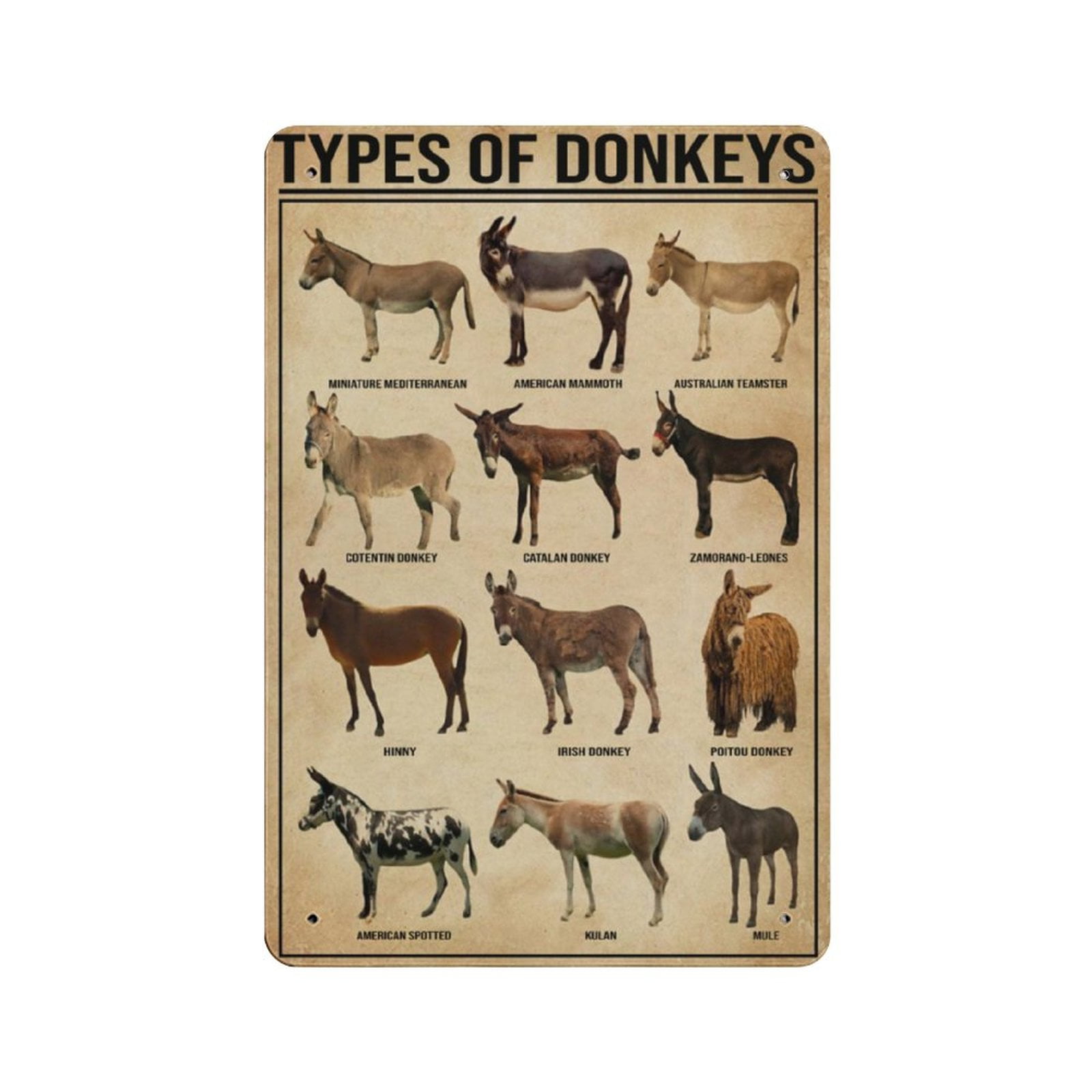 Types of Donkeys tin sign, Donkey Knowledge tin sign, Donkey Print ...
