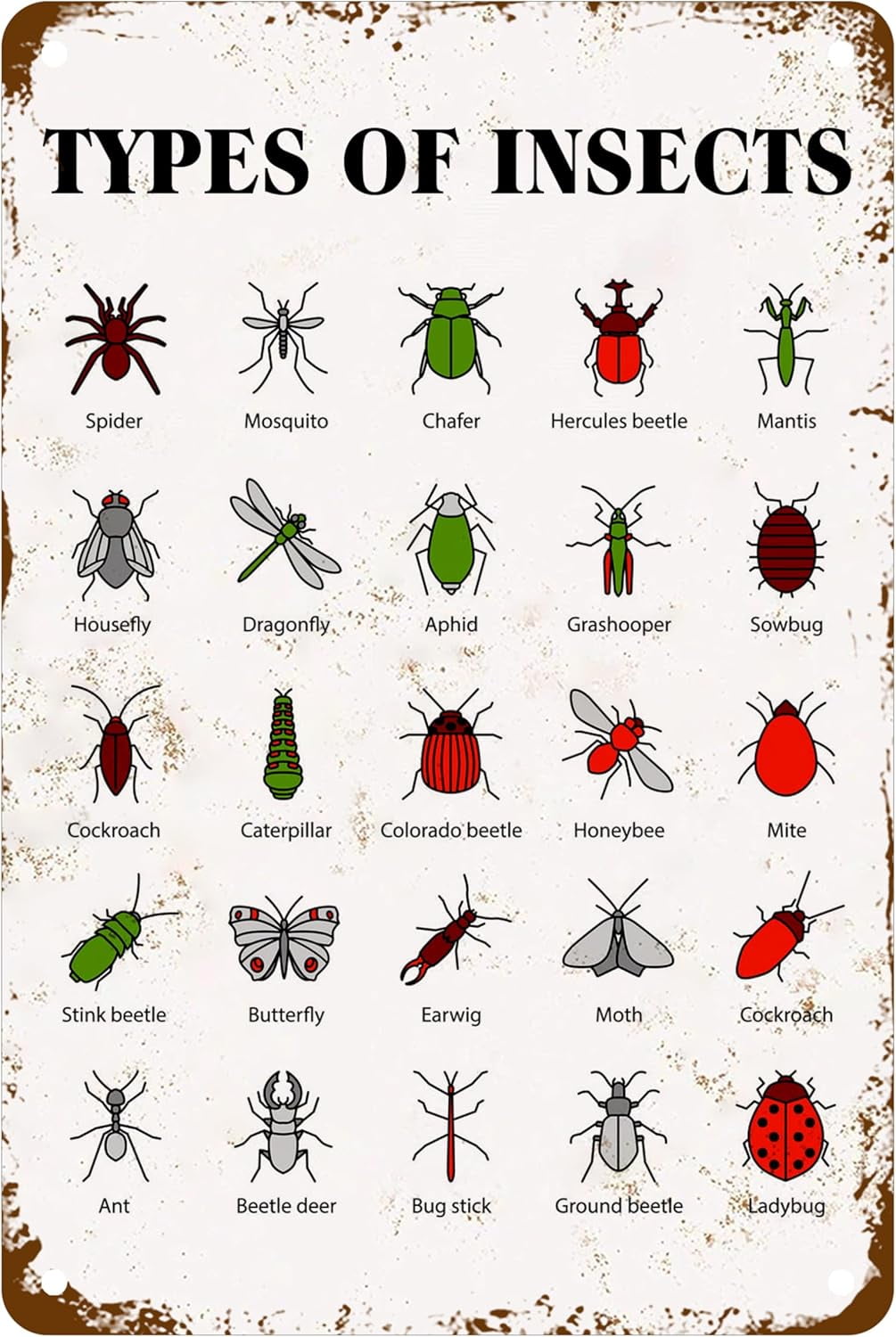 Types Of Insects Bug Sign Metal Tin Signs, Insects Collection Species ...