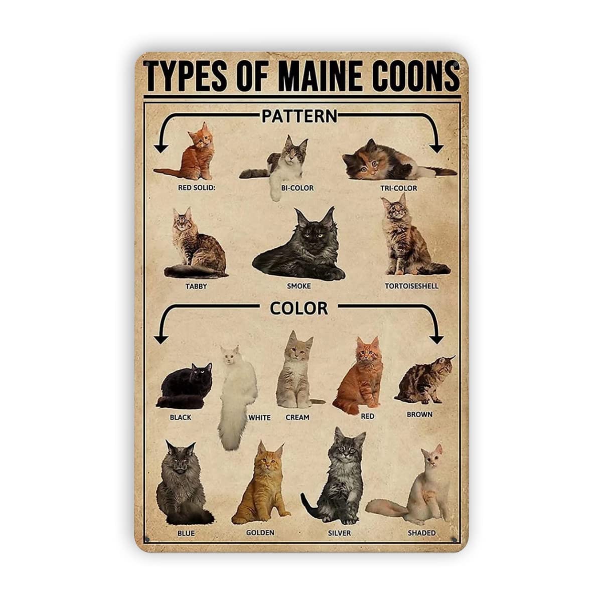 Types of Maine Coons Knowledge Metal Aluminium Sign Retro Wall Decor ...